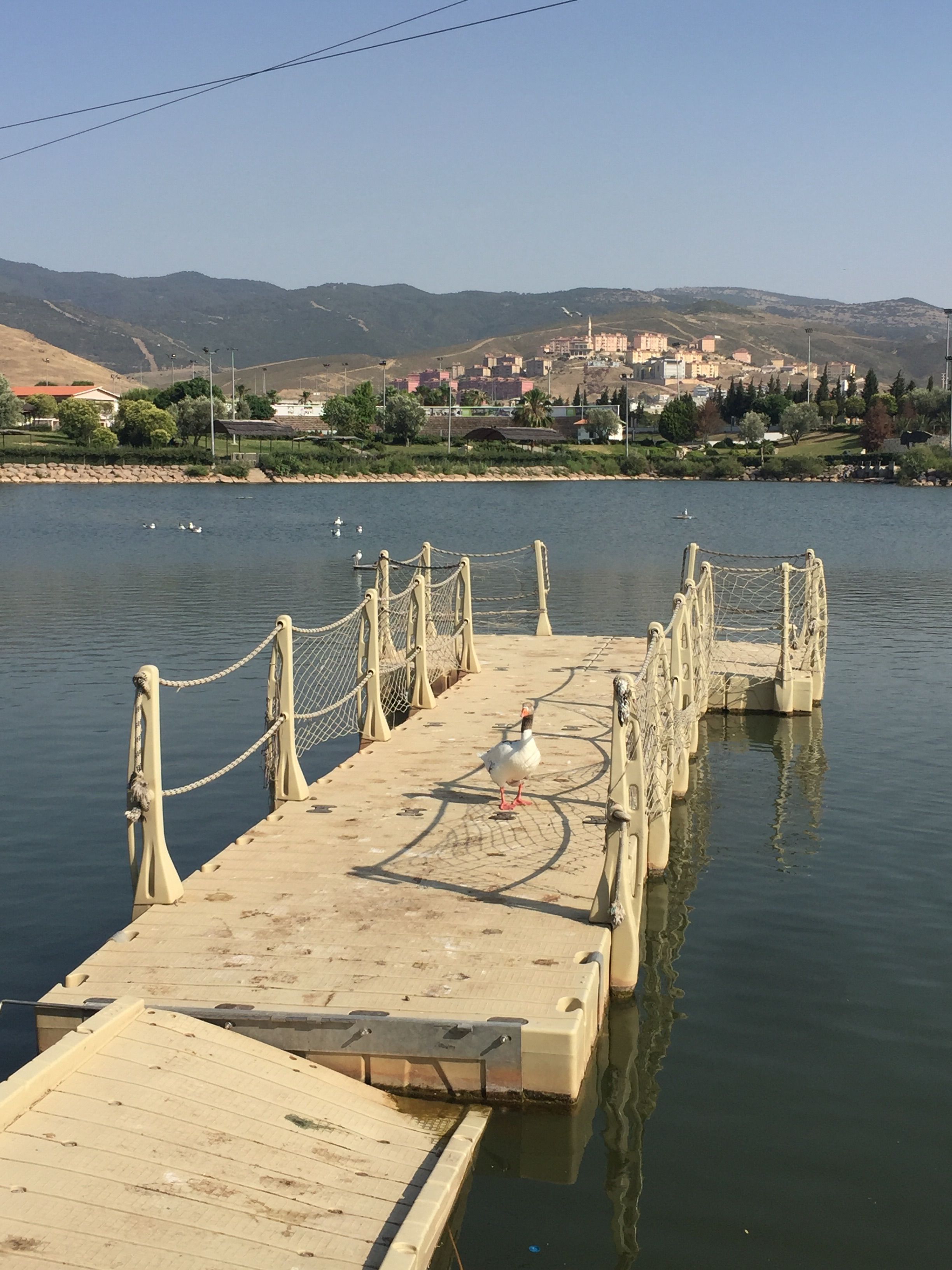 Secluded lake pier with distant mountain view · Free Stock Photo