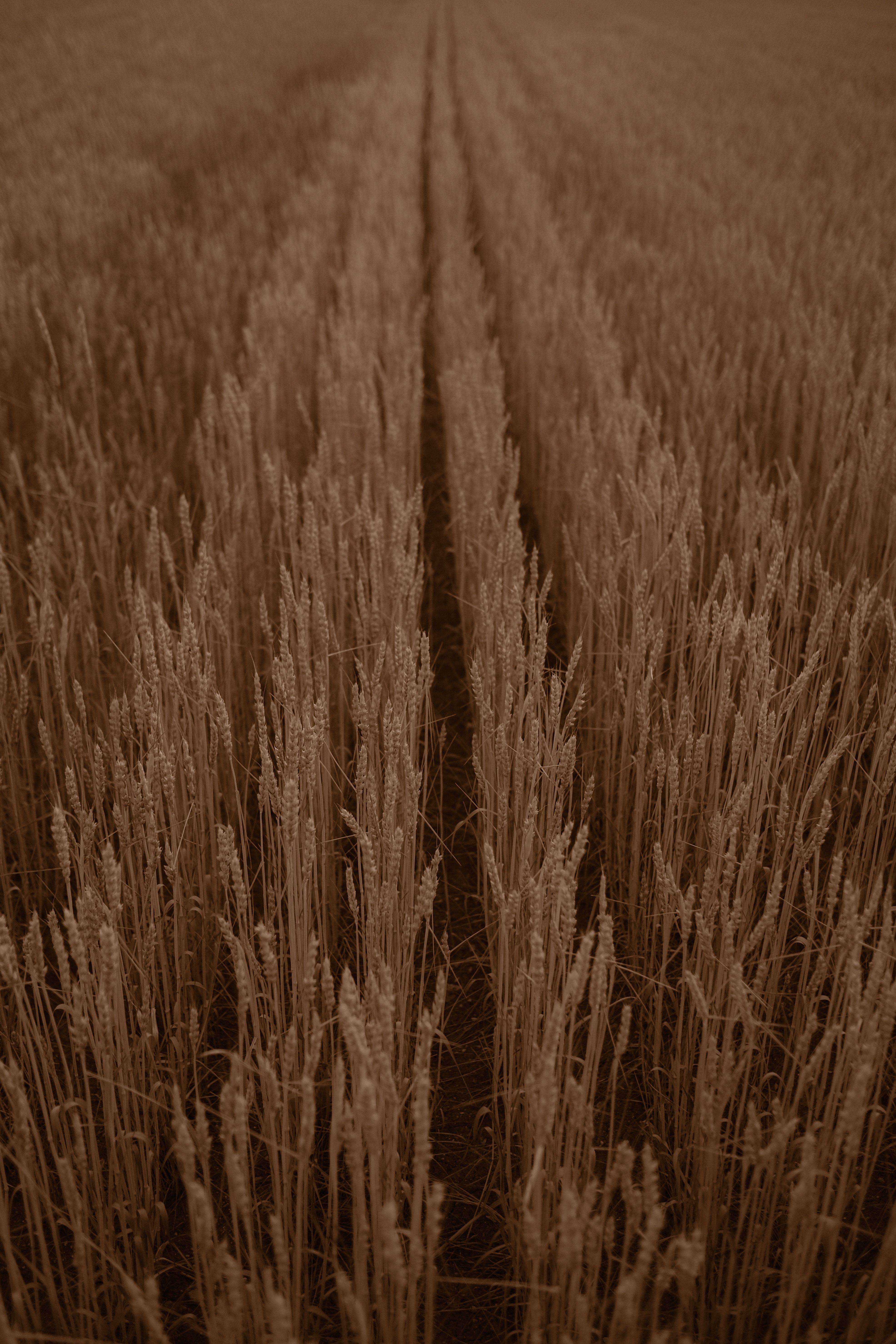 Perspective Land Photos, Download The BEST Free Perspective Land Stock ...