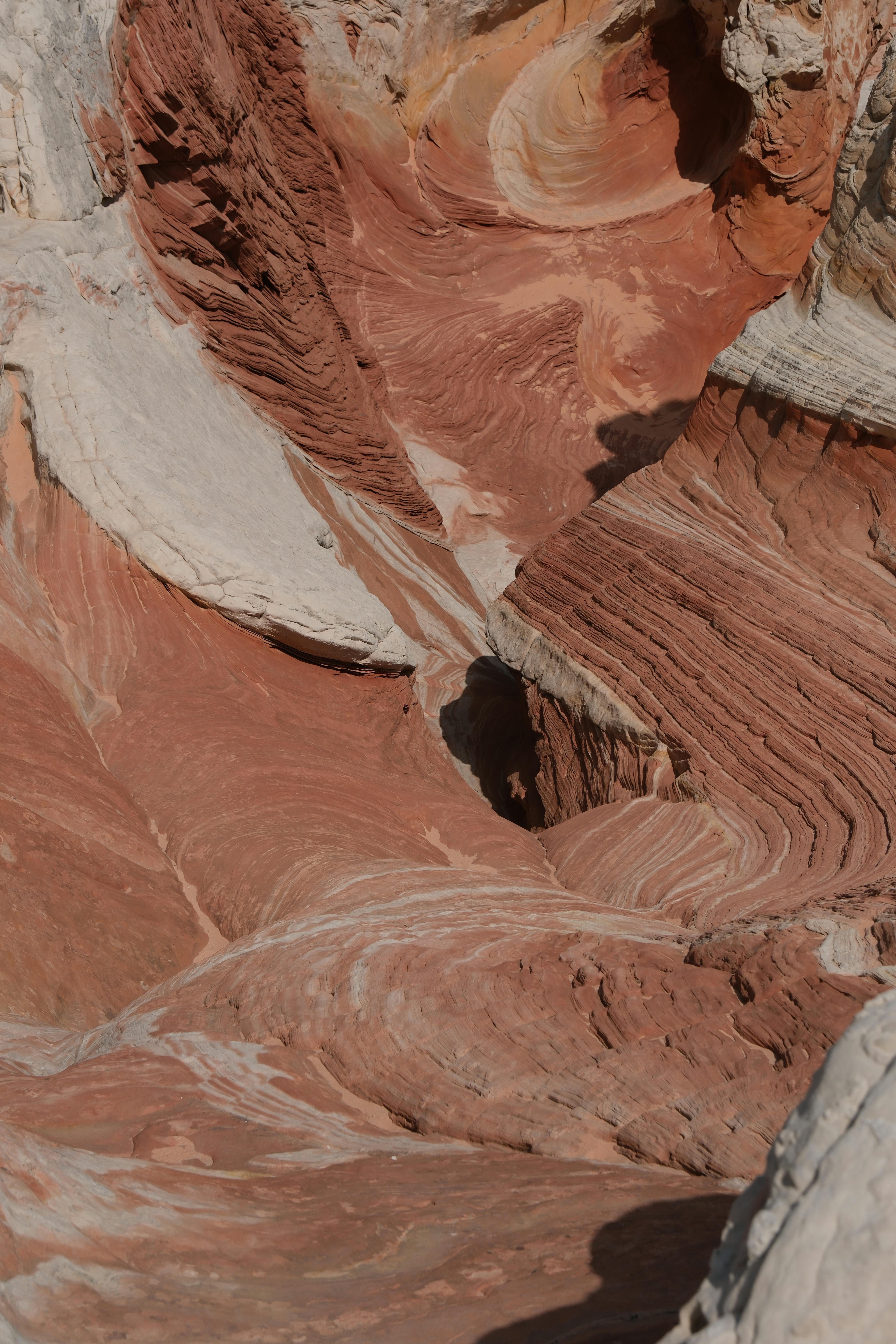 View of the Wave Sandstone Rock Formation in Arizona, USA · Free Stock ...