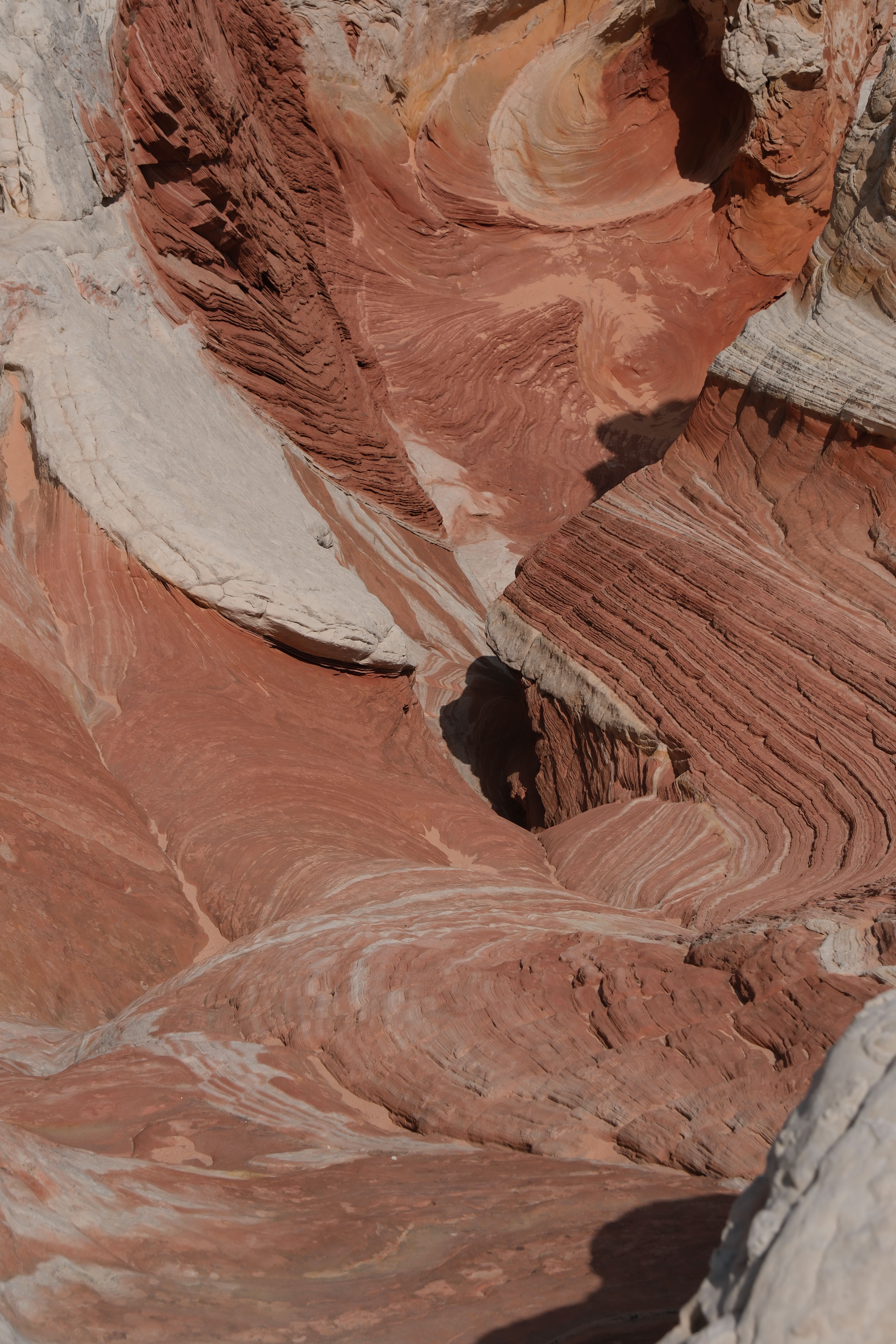 View of the Wave Sandstone Rock Formation in Arizona, USA · Free Stock ...