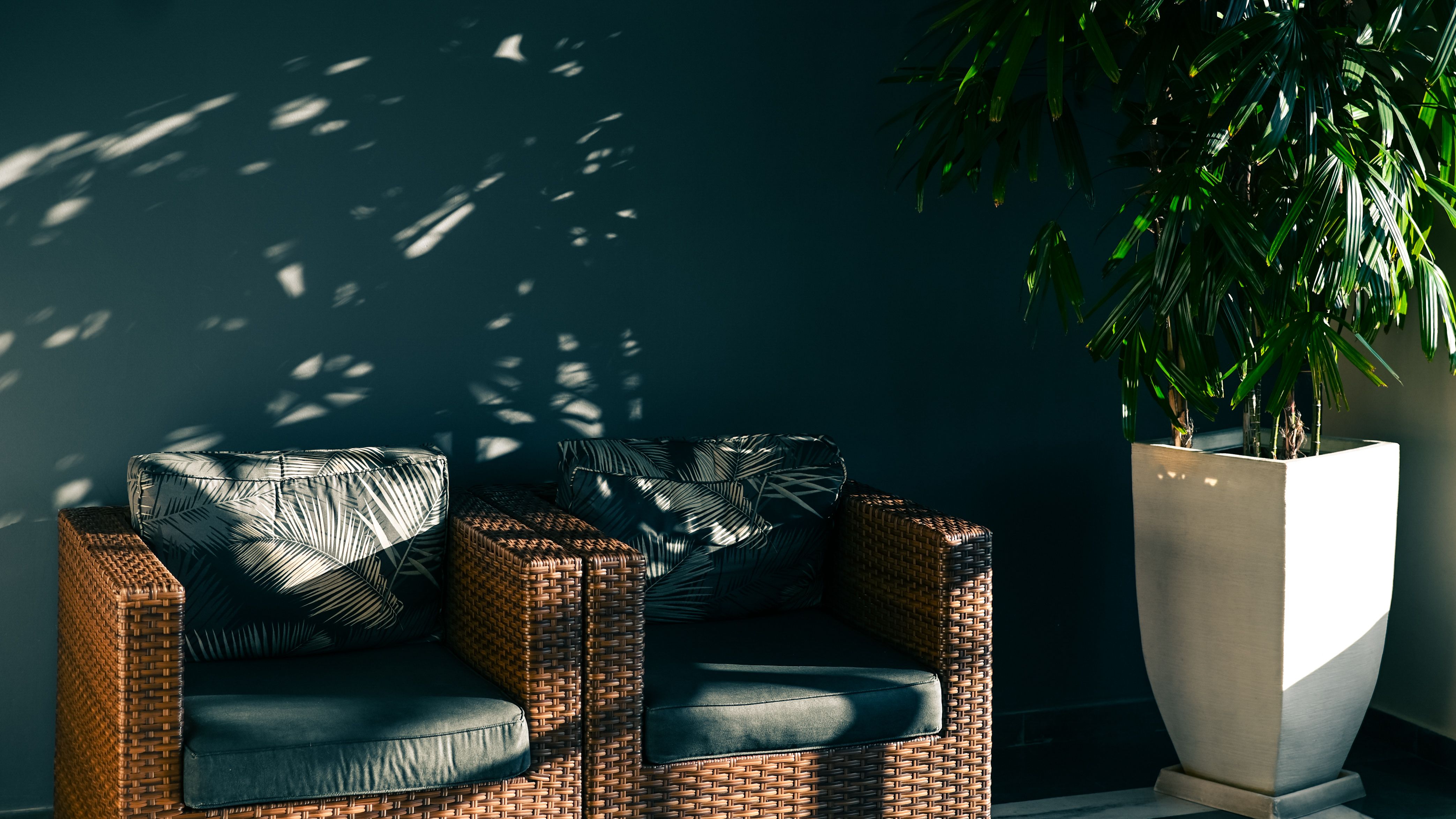 Cozy Patio Seating with Tropical Plant Decor · Free Stock Photo