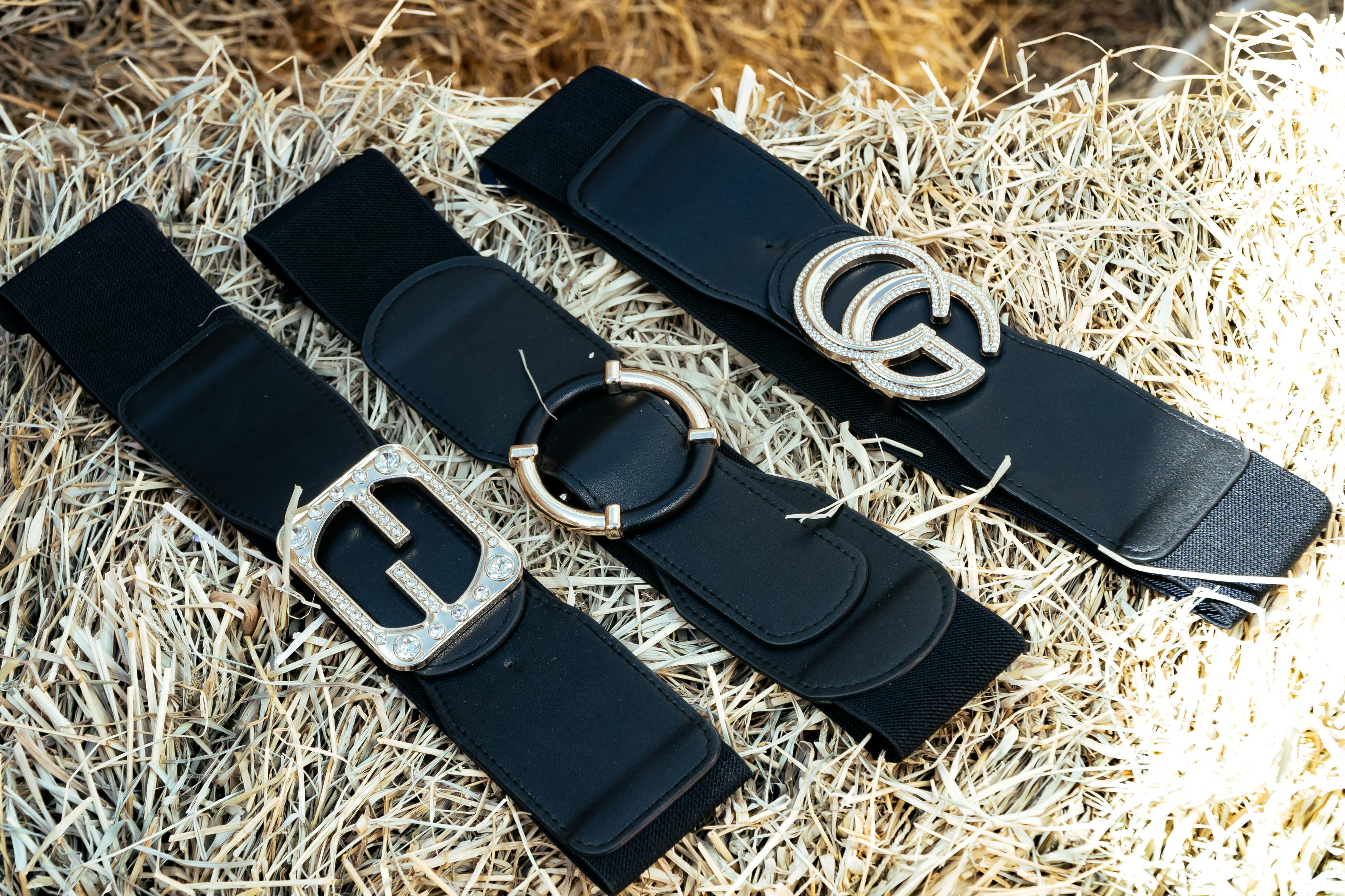 Shiny Buckles Photos, Download The BEST Free Shiny Buckles Stock Photos ...