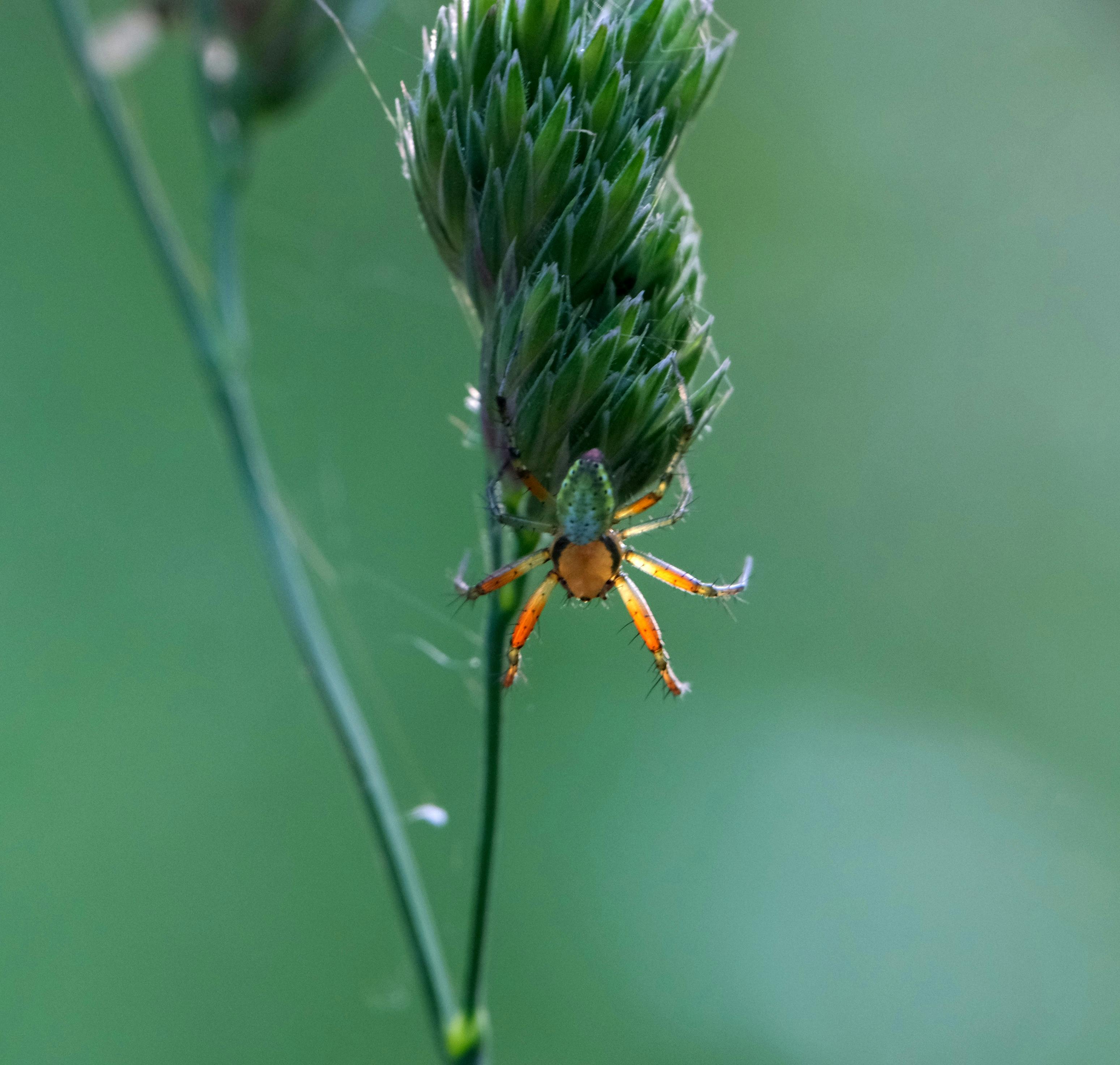 Yolobit+Little+Girl+Images Photos, Download The BEST Free Yolobit ...