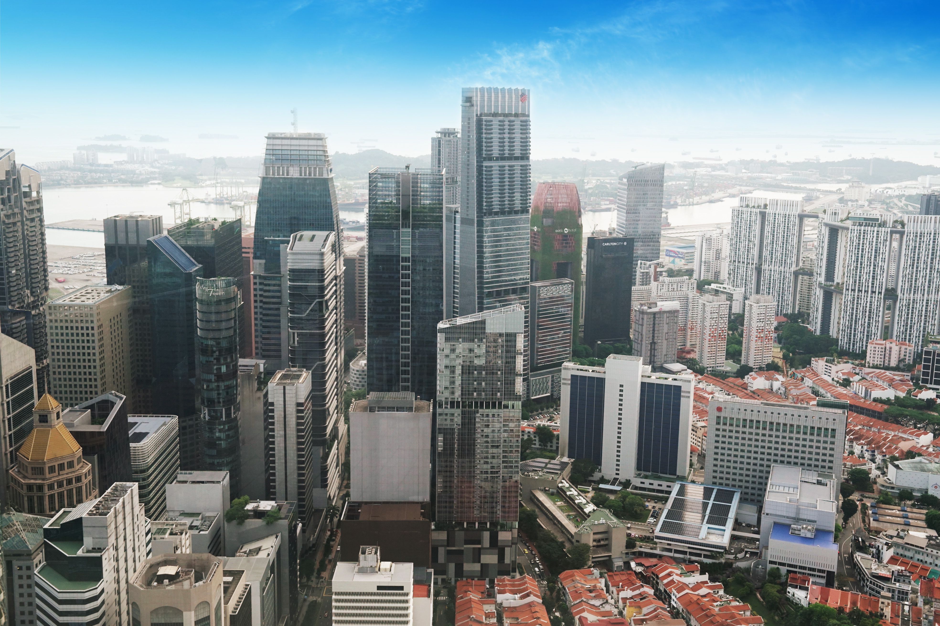 Business Development Background Animation Photos, Download The BEST ...