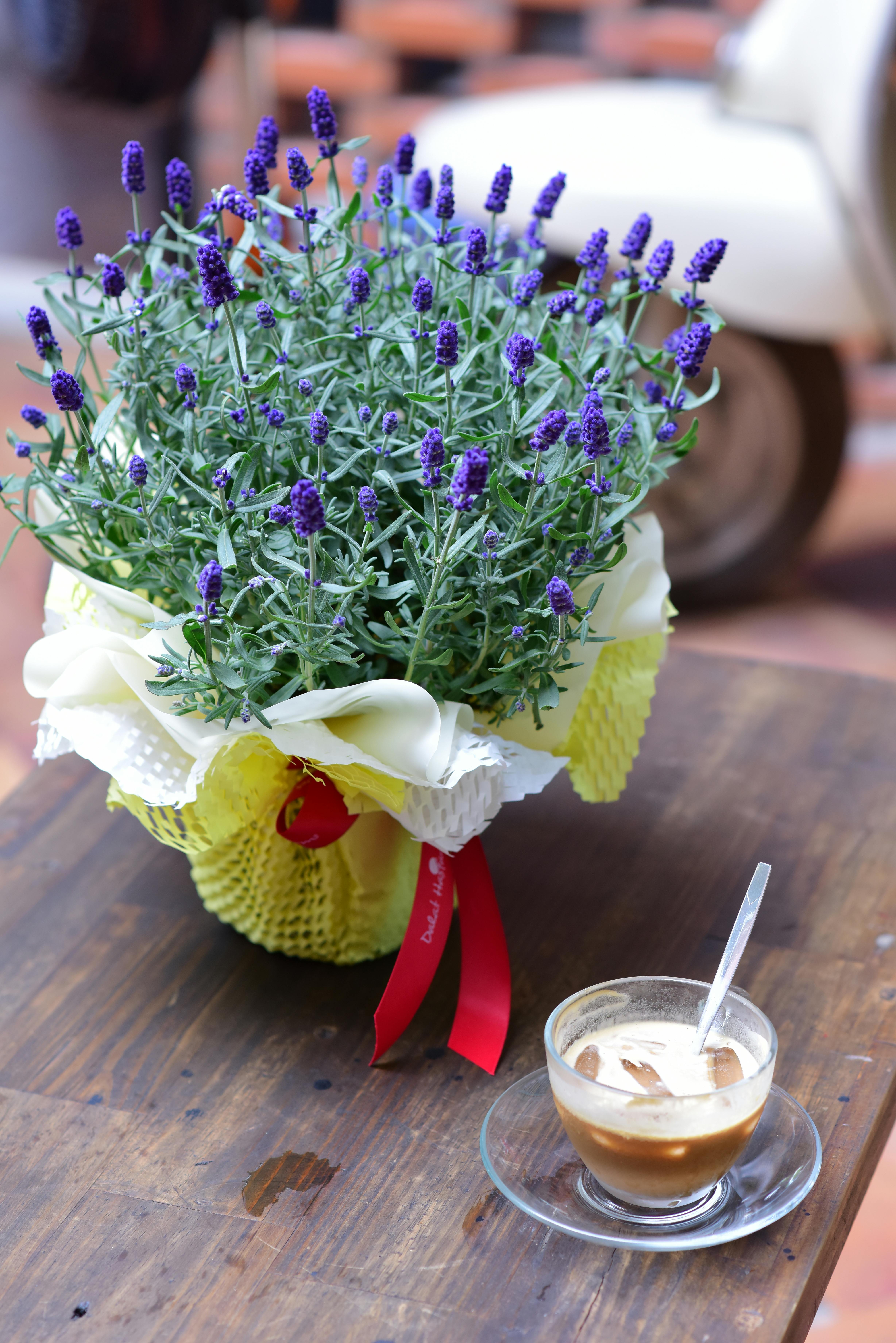 Ribbon Bot Photos, Download The BEST Free Ribbon Bot Stock Photos & HD ...