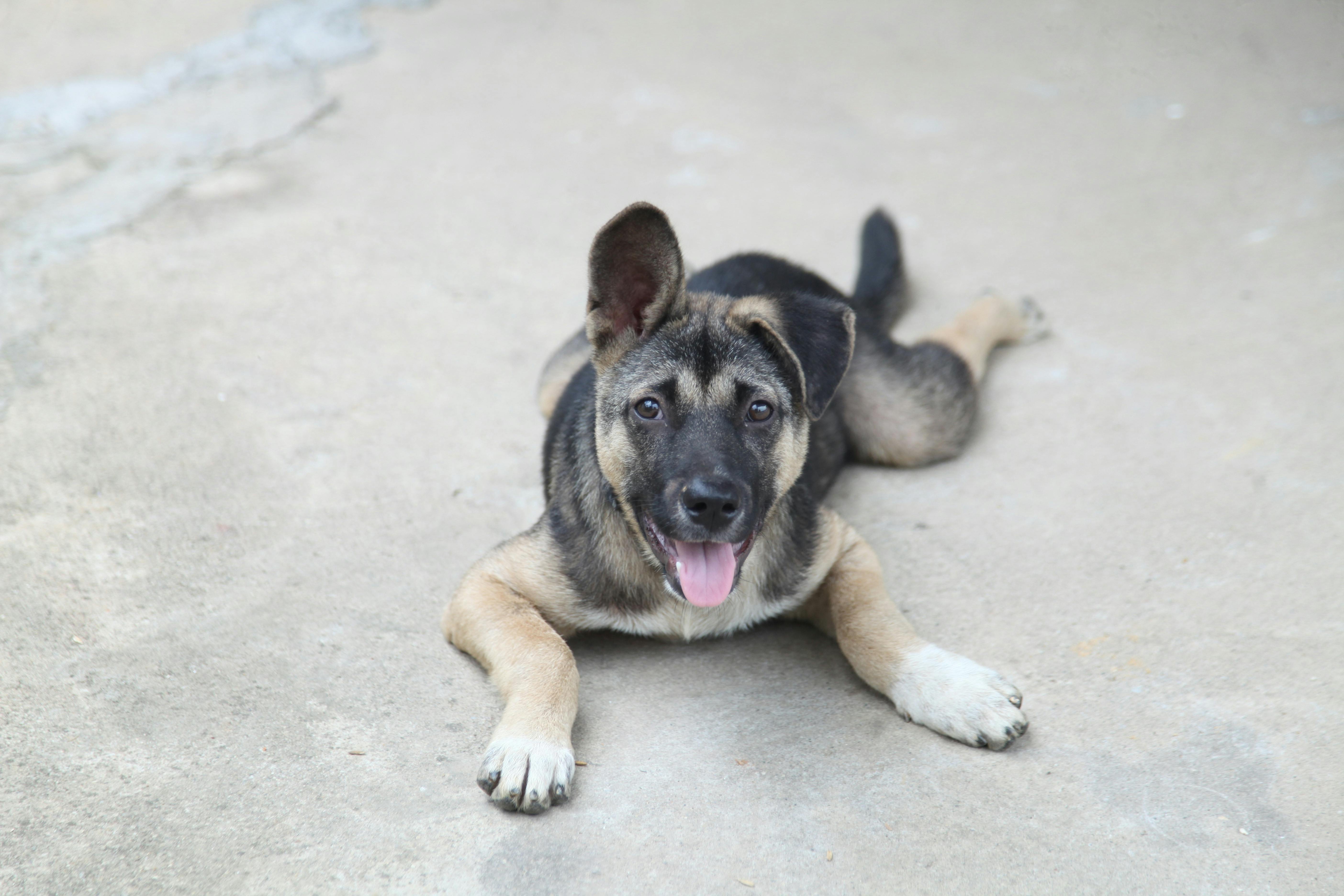 Funny Screensavers Photos, Download The BEST Free Funny Screensavers ...