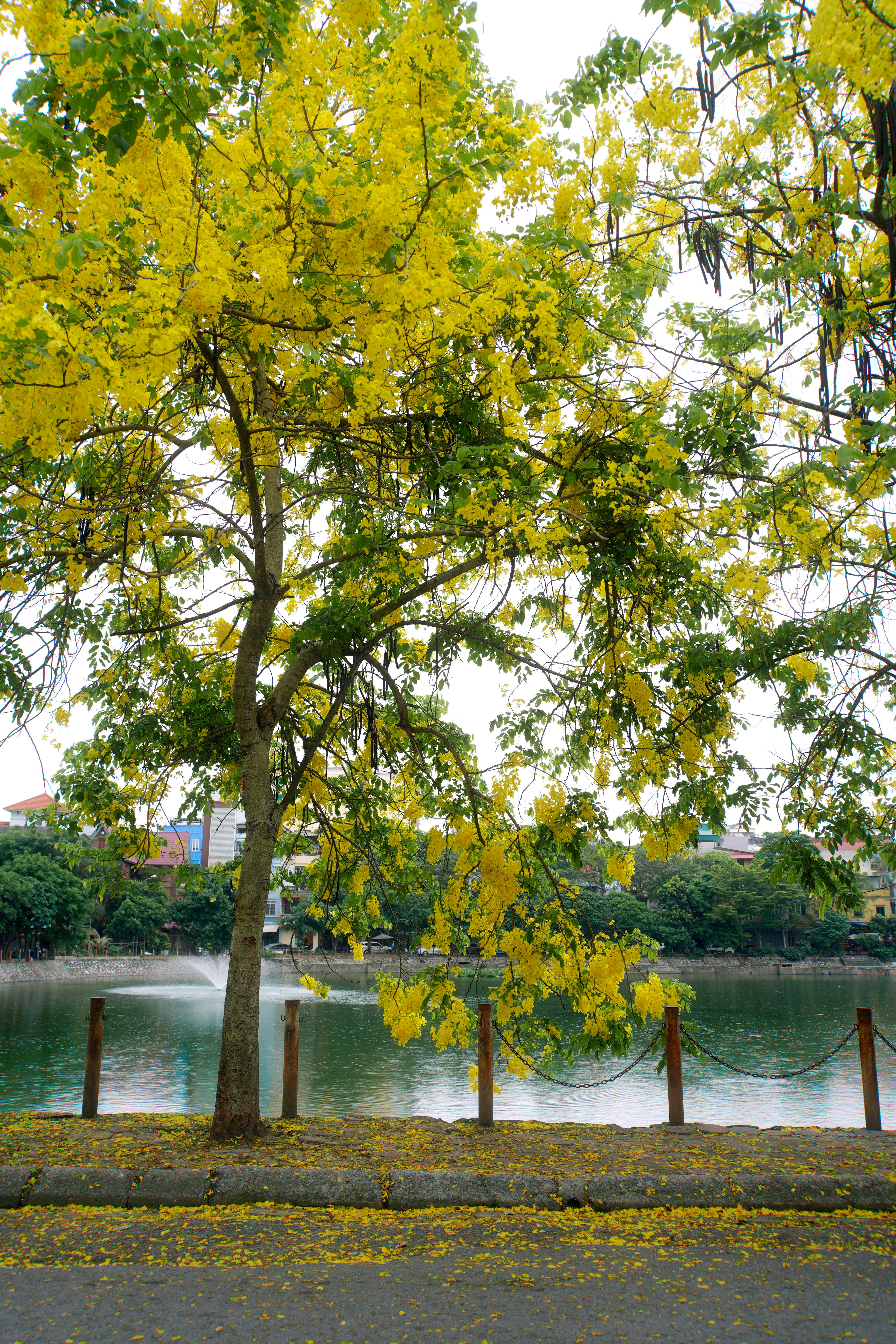 Fistula Photos, Download The BEST Free Fistula Stock Photos & HD Images