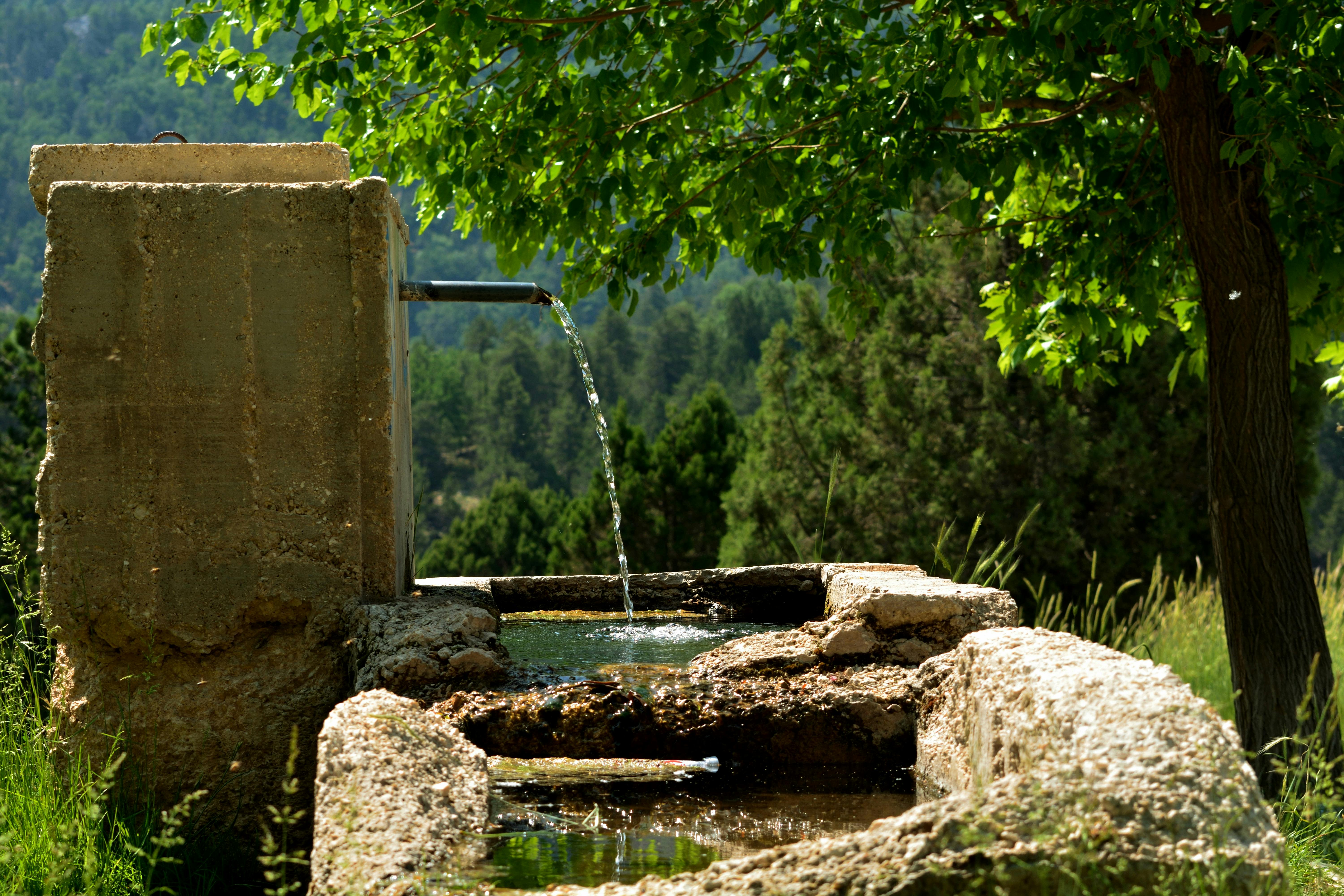 Tranquil Spring Water Fountain in Elmalı Forest · Free Stock Photo