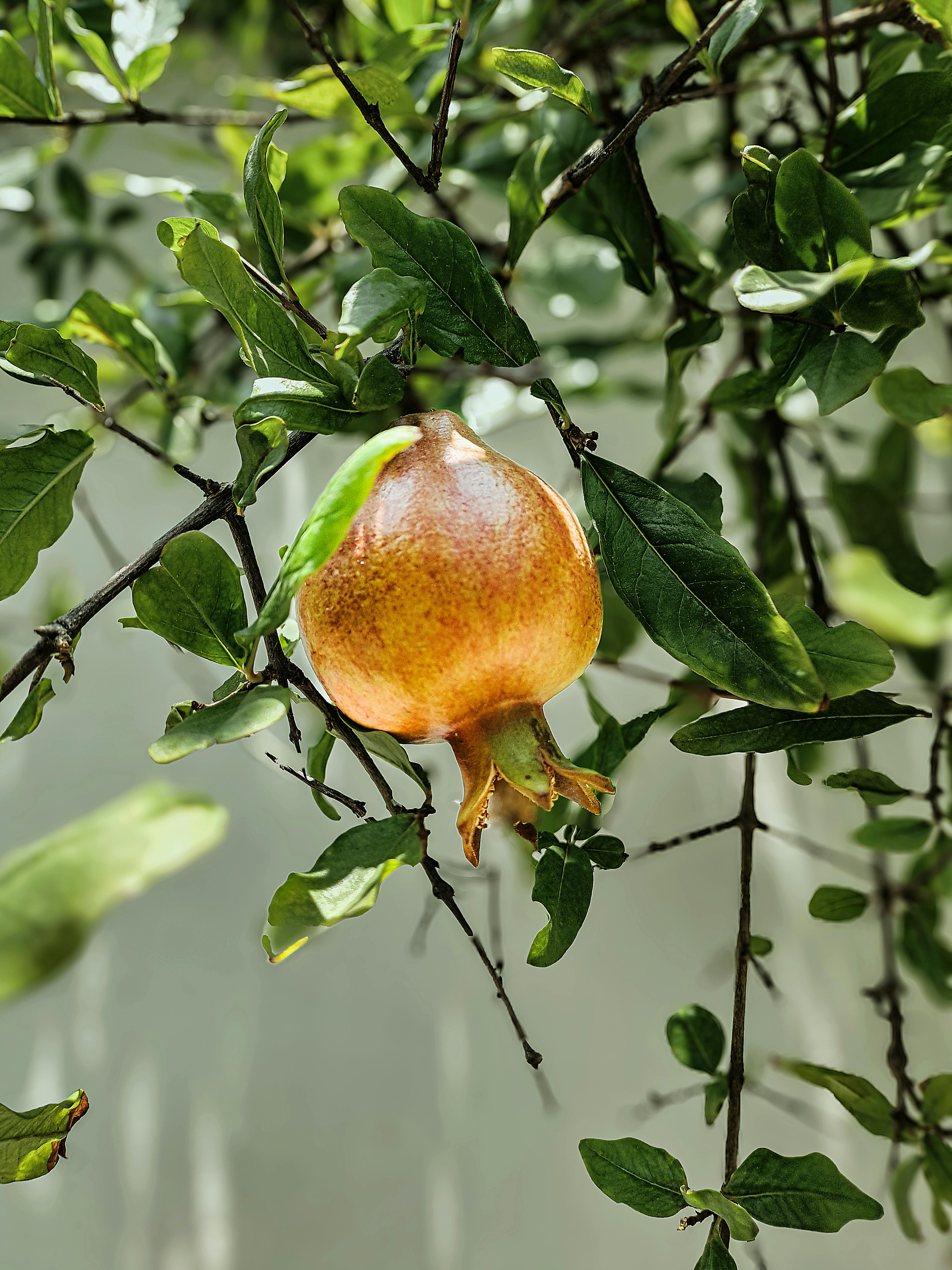 10mb Image Photos, Download The BEST Free 10mb Image Stock Photos & HD ...