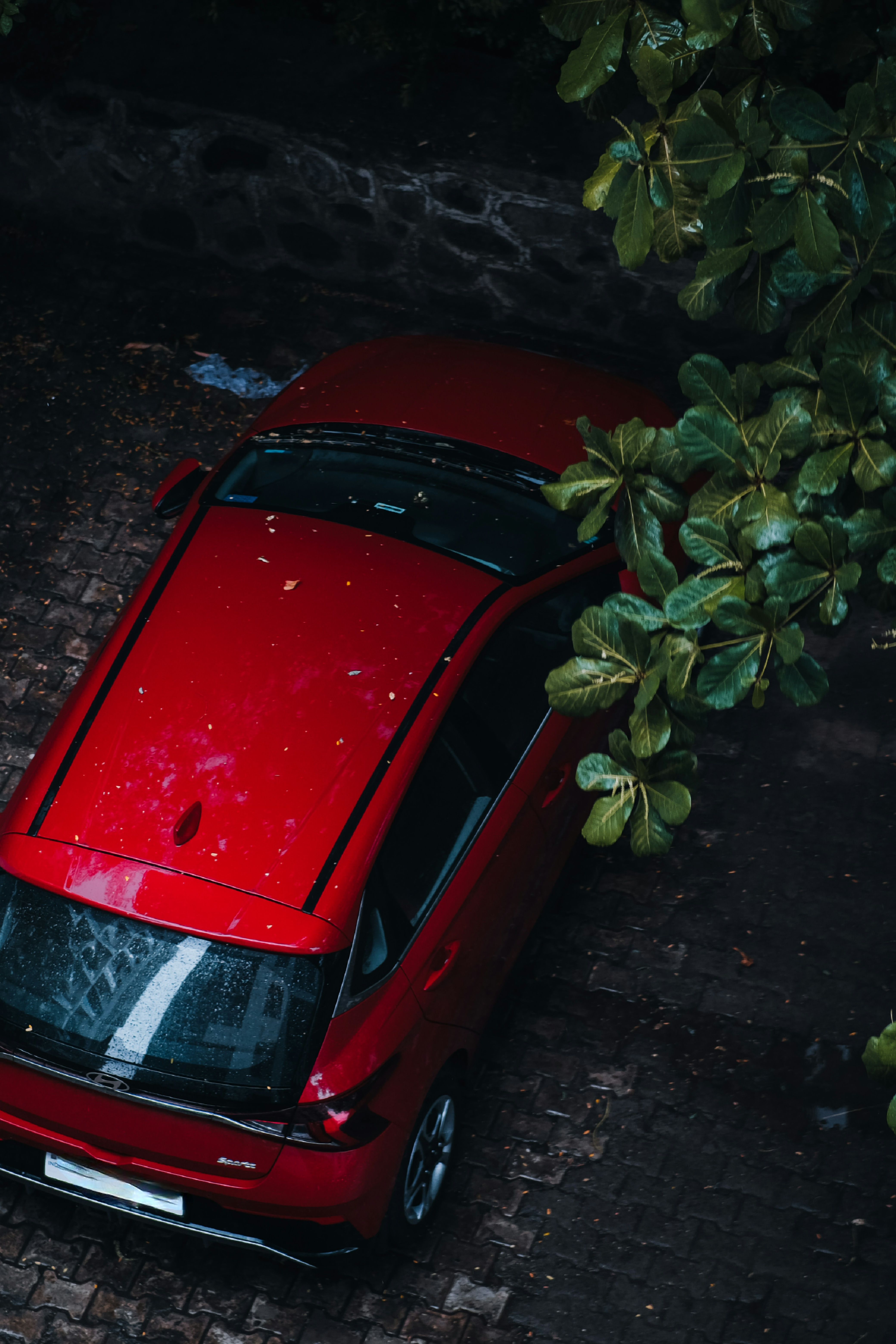 Car In A Forest Photos, Download The BEST Free Car In A Forest Stock ...