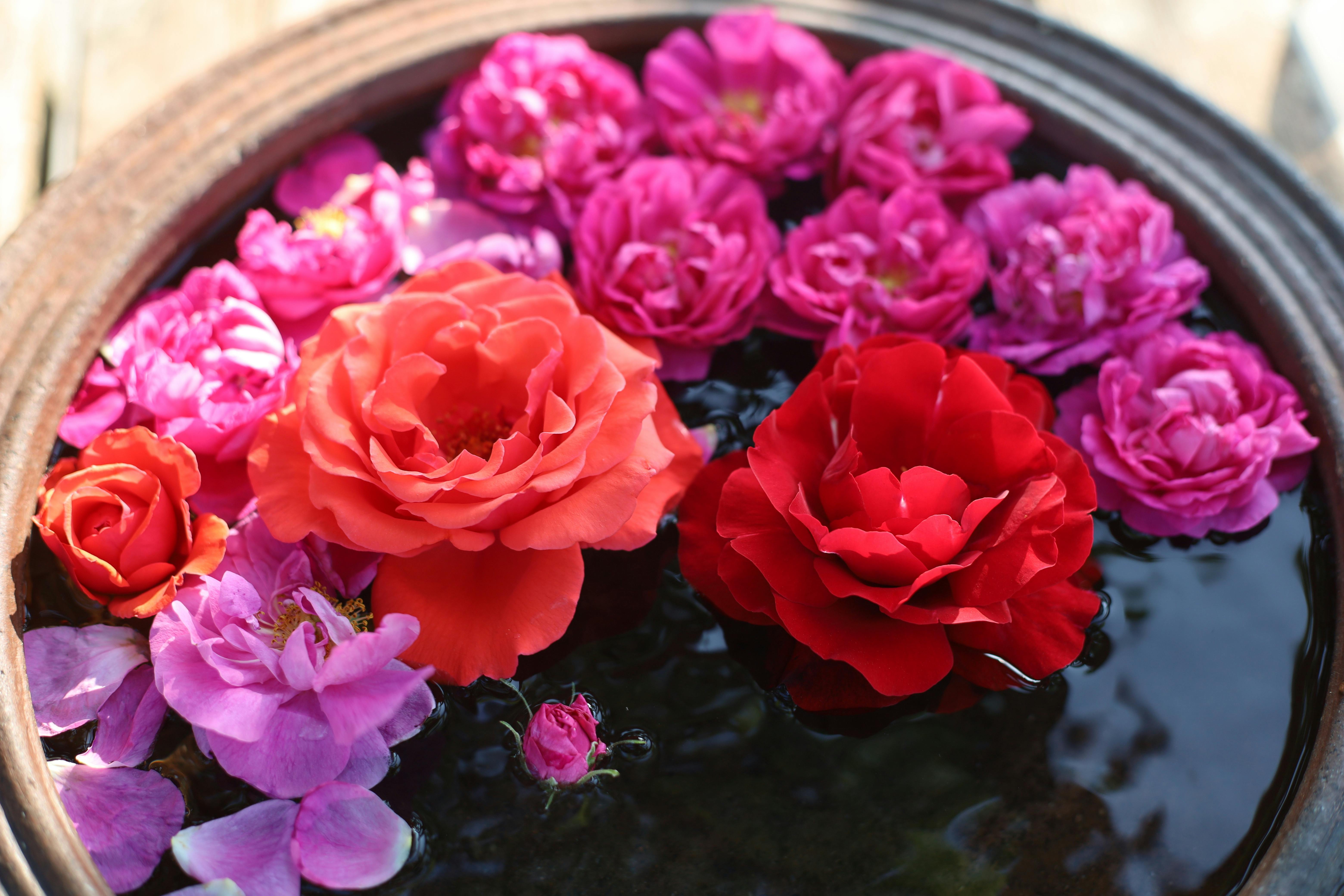 Beautiful+Rwanda+Women Photos, Download The BEST Free Beautiful+Rwanda ...