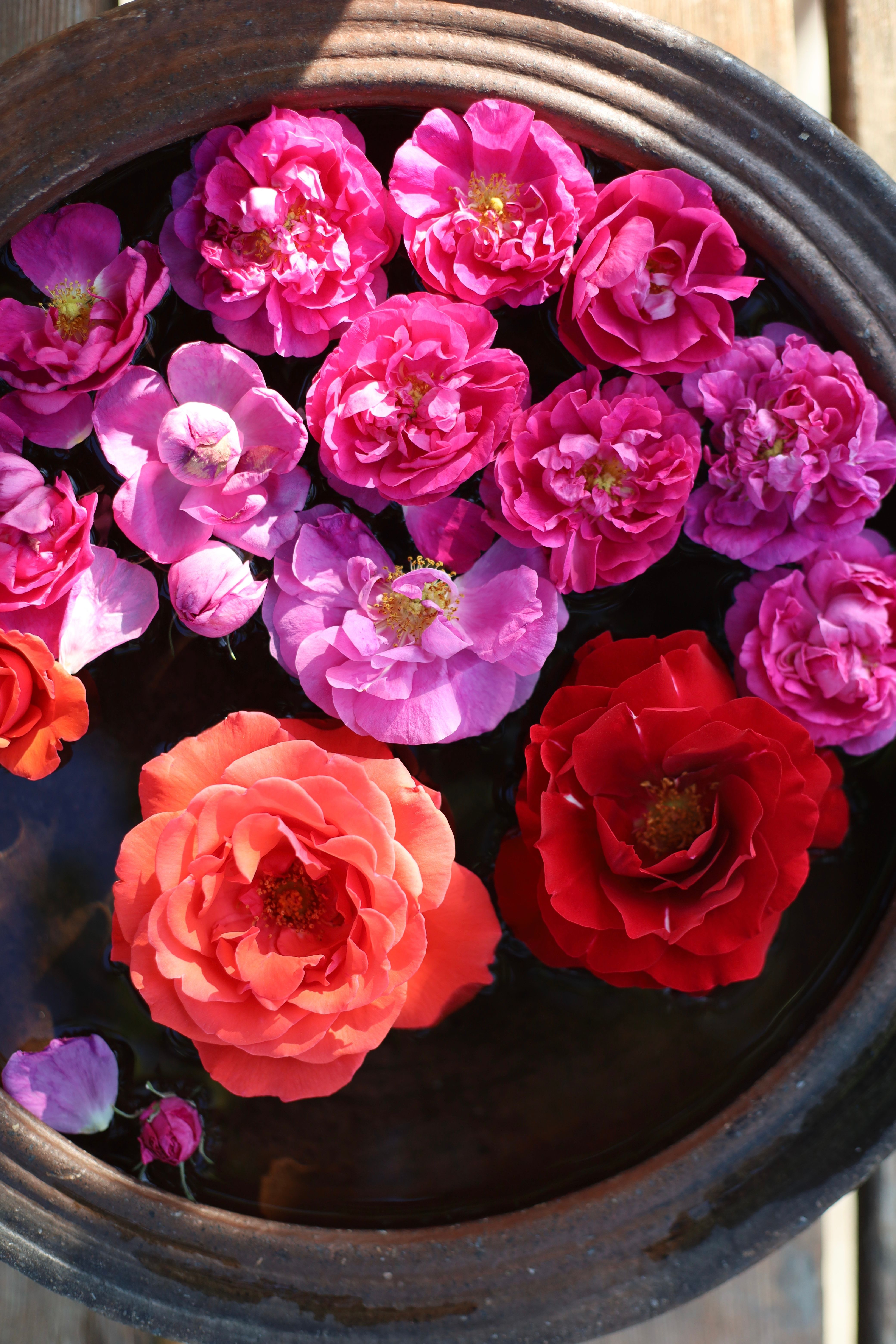 Isparta Rose Factory Photos, Download The BEST Free Isparta Rose ...