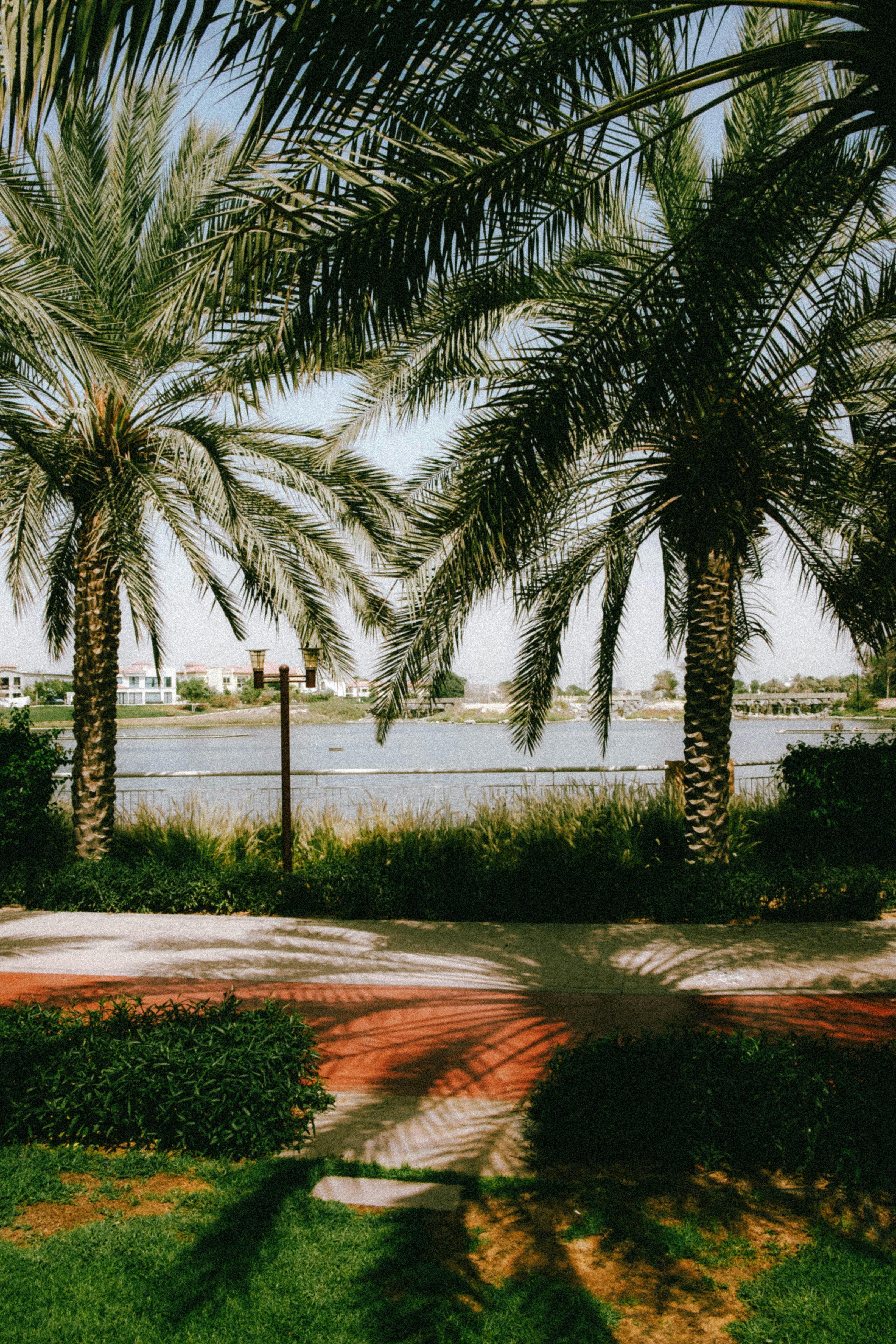 Dubai Landscape Photos, Download The BEST Free Dubai Landscape Stock ...