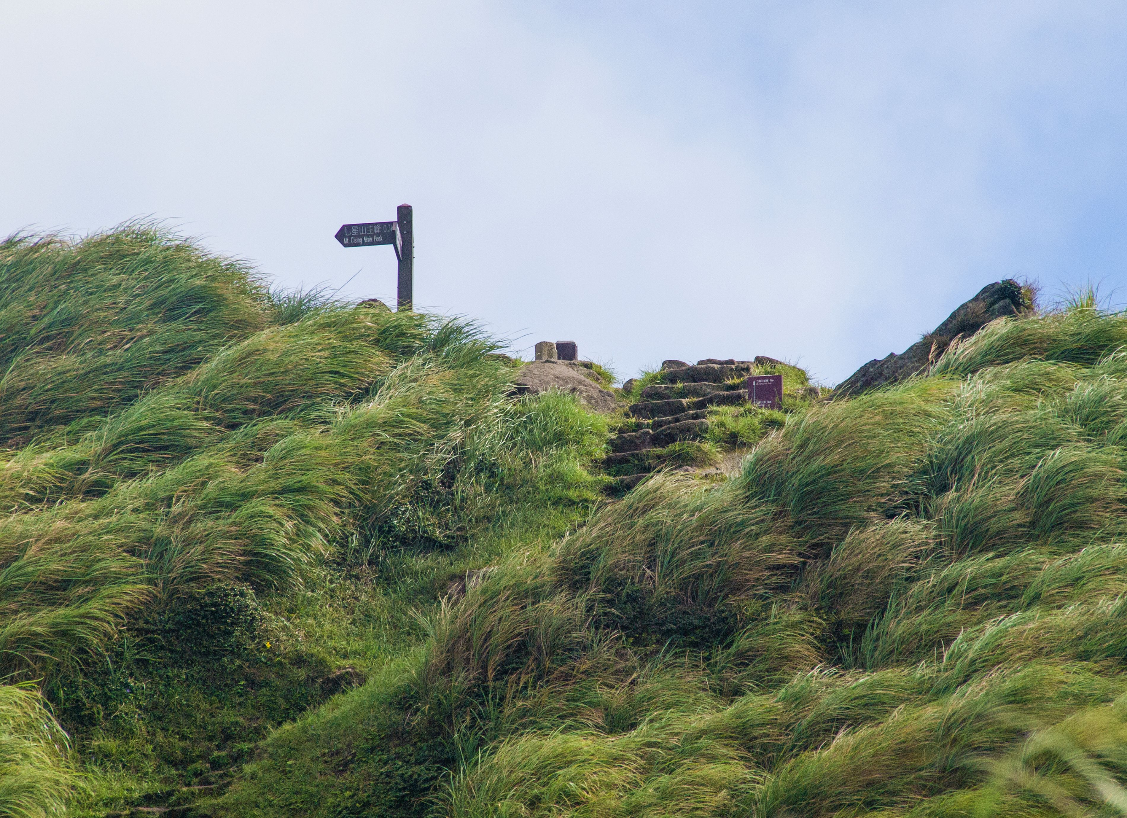 Scenic Mountain Pathway with Direction Sign · Free Stock Photo