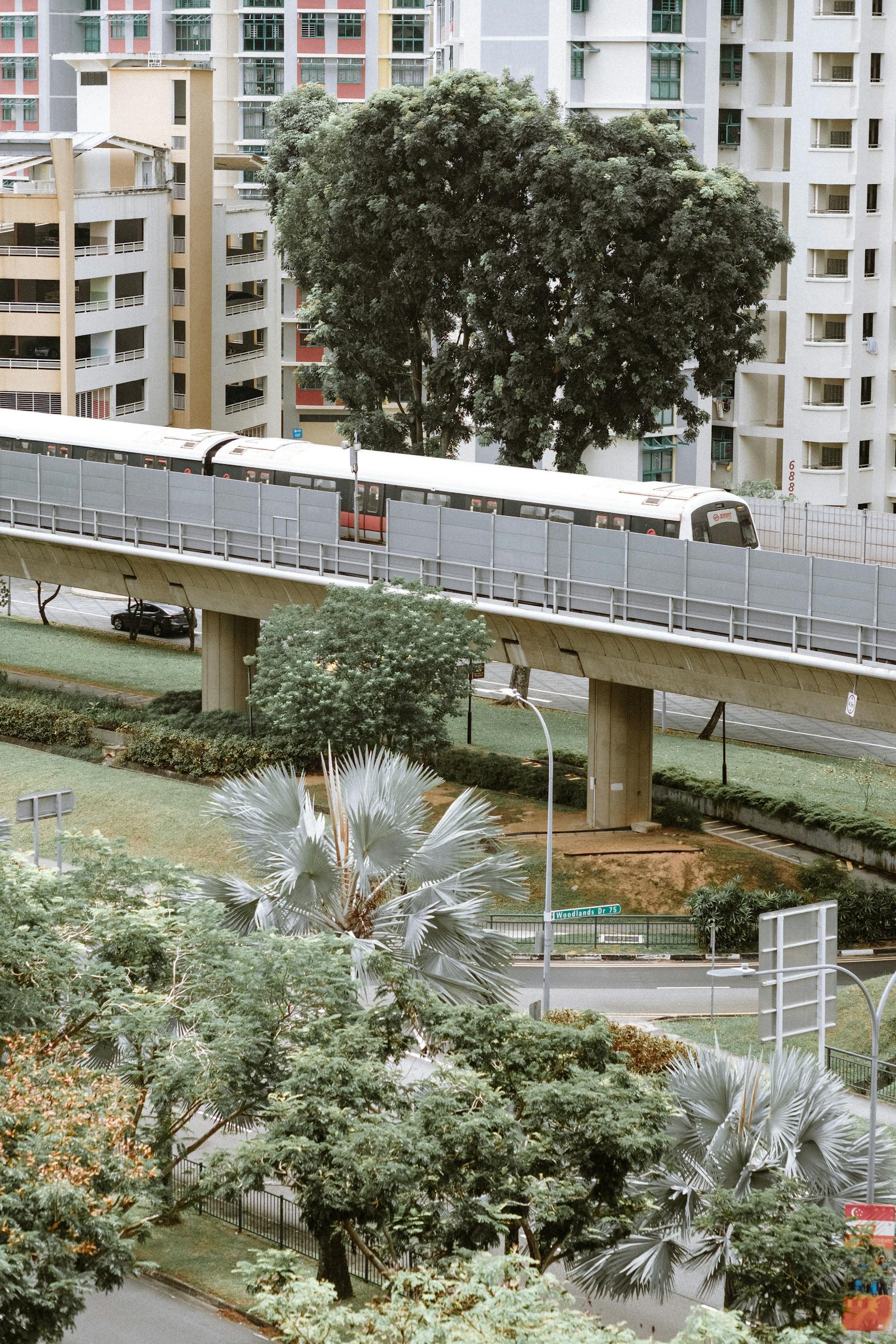 Train Cartoon Photos, Download The BEST Free Train Cartoon Stock Photos ...