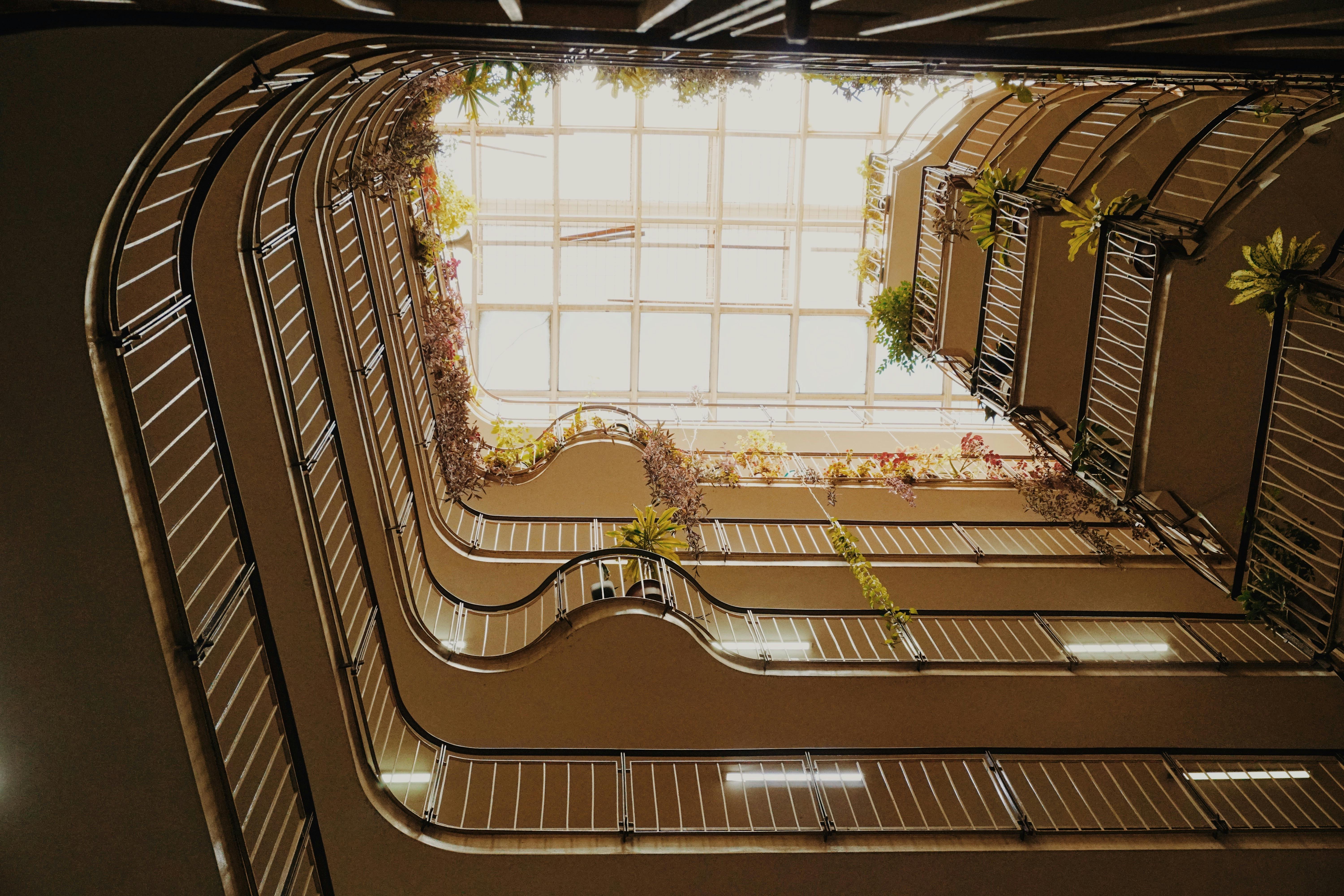 Modern Indoor Atrium with Vertical Garden View · Free Stock Photo