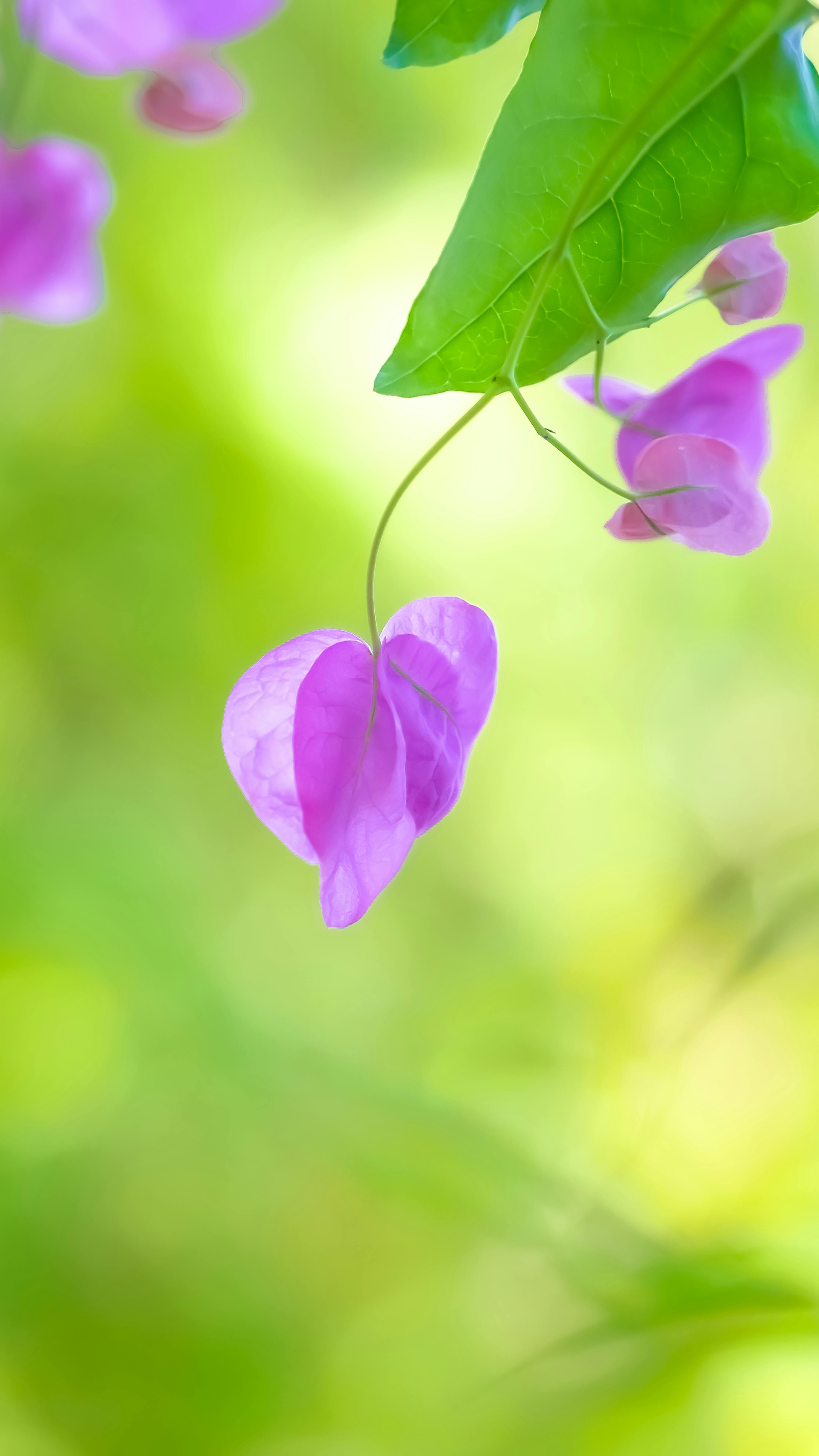 Wipro+Wallpaper Photos, Download The BEST Free Wipro+Wallpaper Stock ...