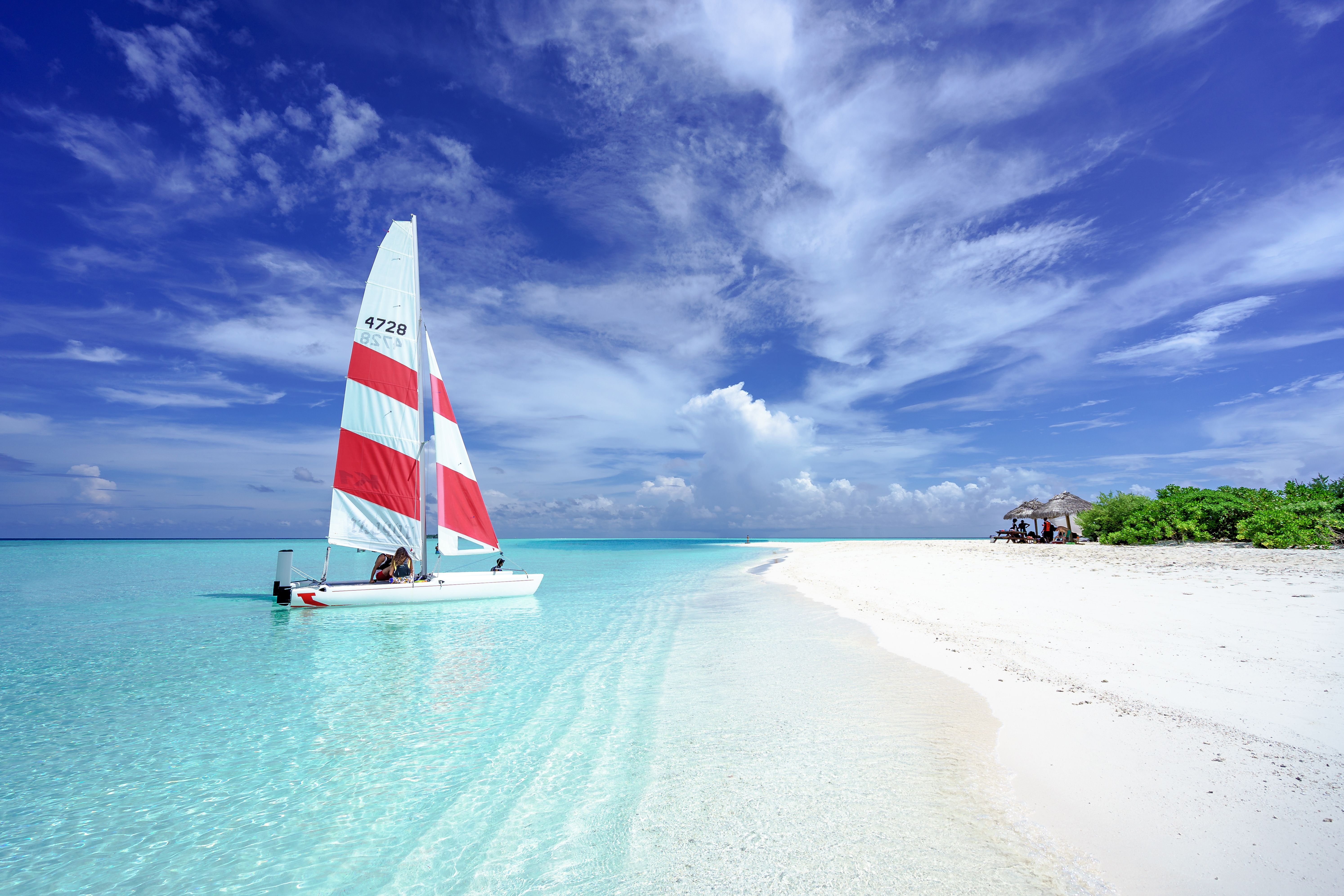 80,034+ Best Free Sandy beach Stock Photos & Images · 100% Royalty-Free ...