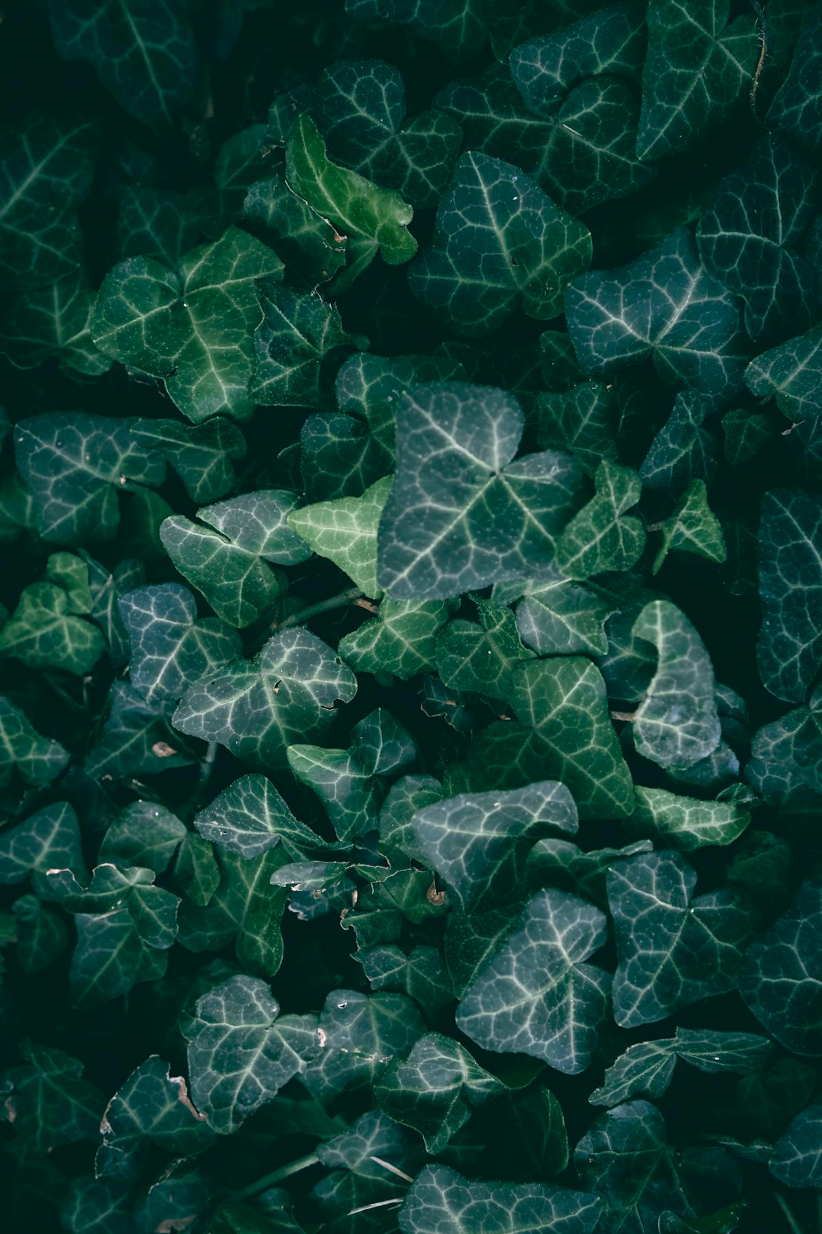 Wallpaper Warna Biru Photos, Download The BEST Free Wallpaper Warna ...