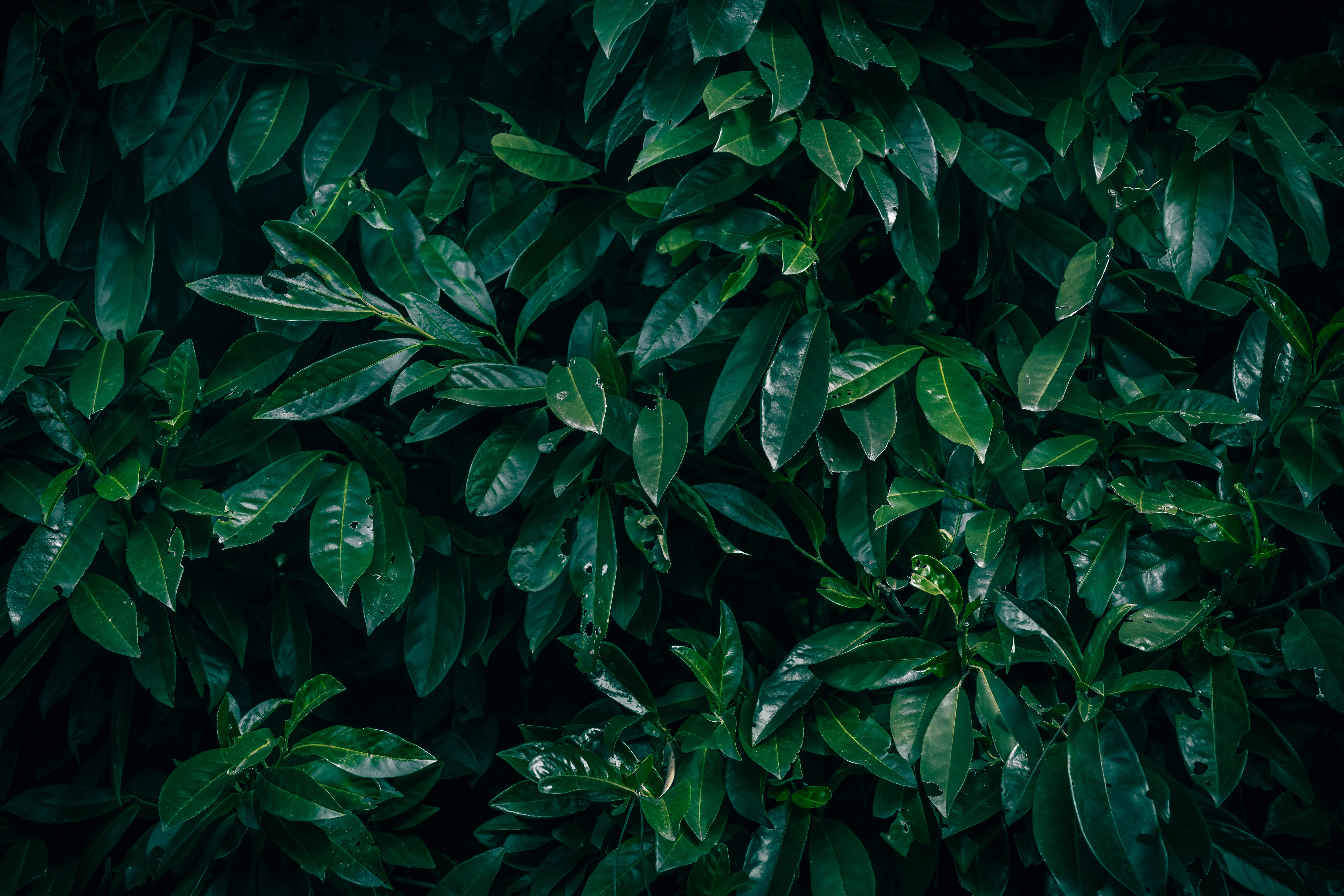 Textured Backgrounds Photos, Download The BEST Free Textured ...