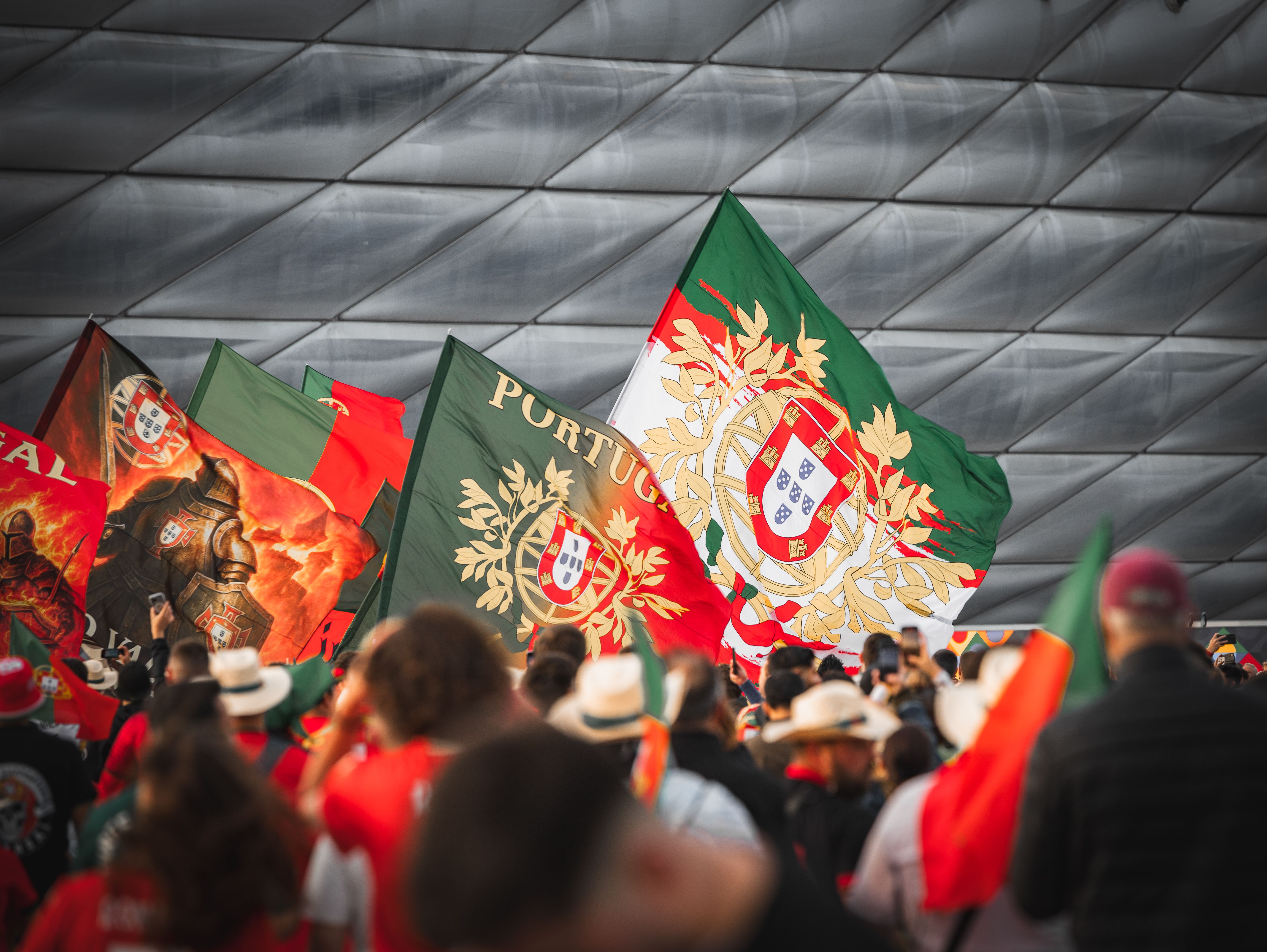 Portuguese Fans Celebrating at Allianz Arena · Free Stock Photo