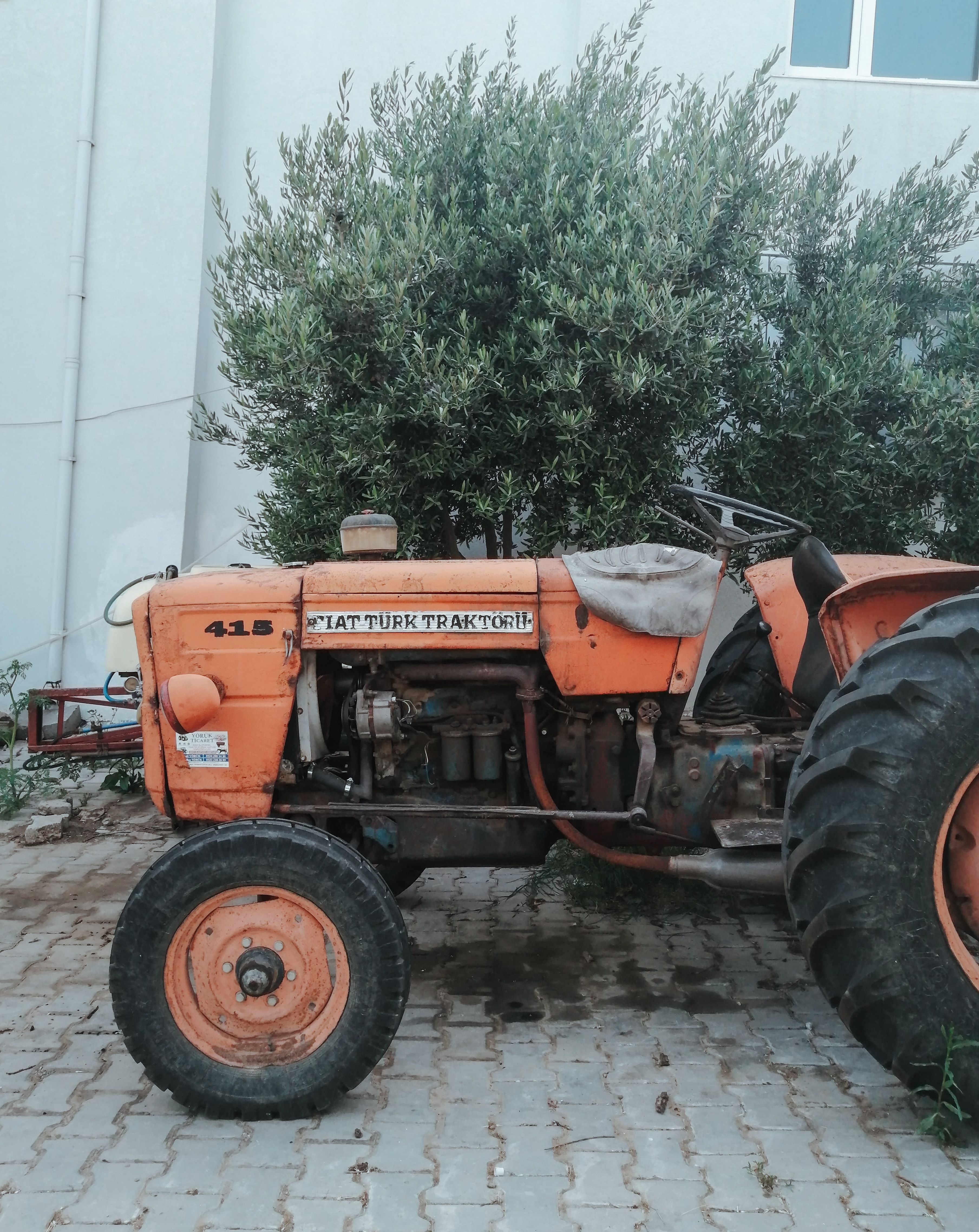 Vintage Orange Tractor in Outdoor Setting · Free Stock Photo