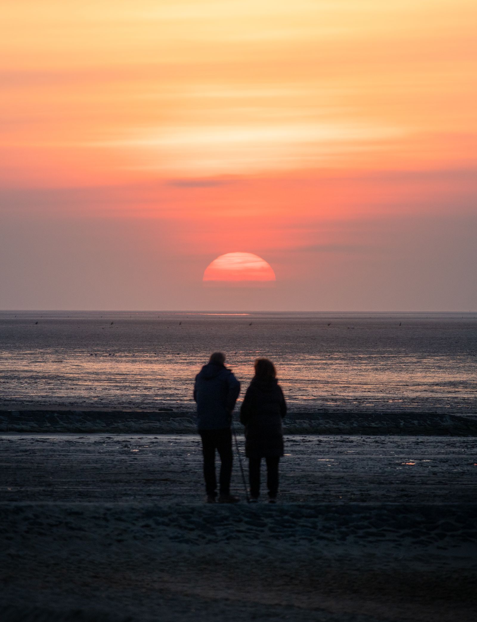 Hd Background Couple Photos, Download The BEST Free Hd Background ...