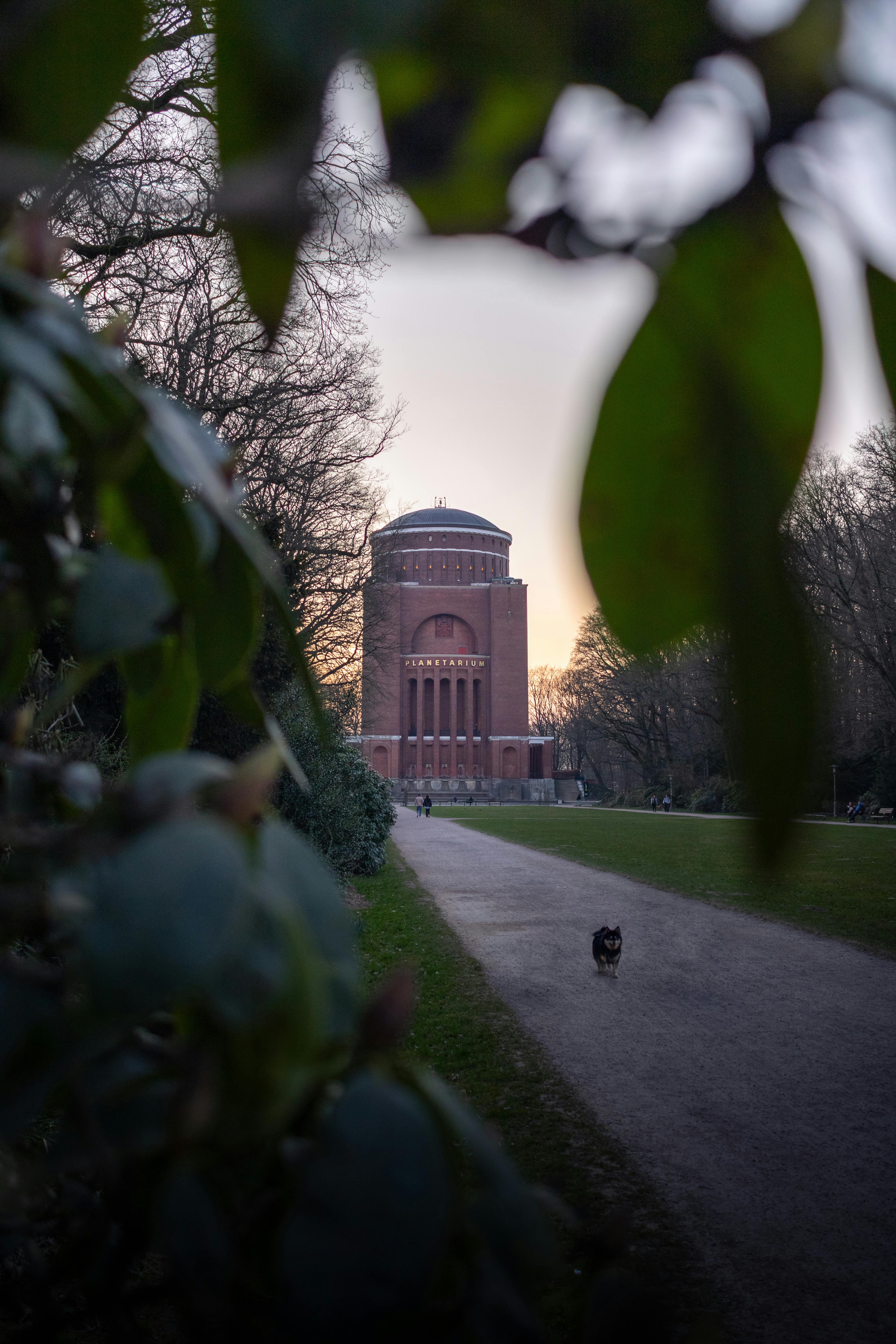 4k Knight Wallpaper Photos, Download The BEST Free 4k Knight Wallpaper Stock Photos & HD Images