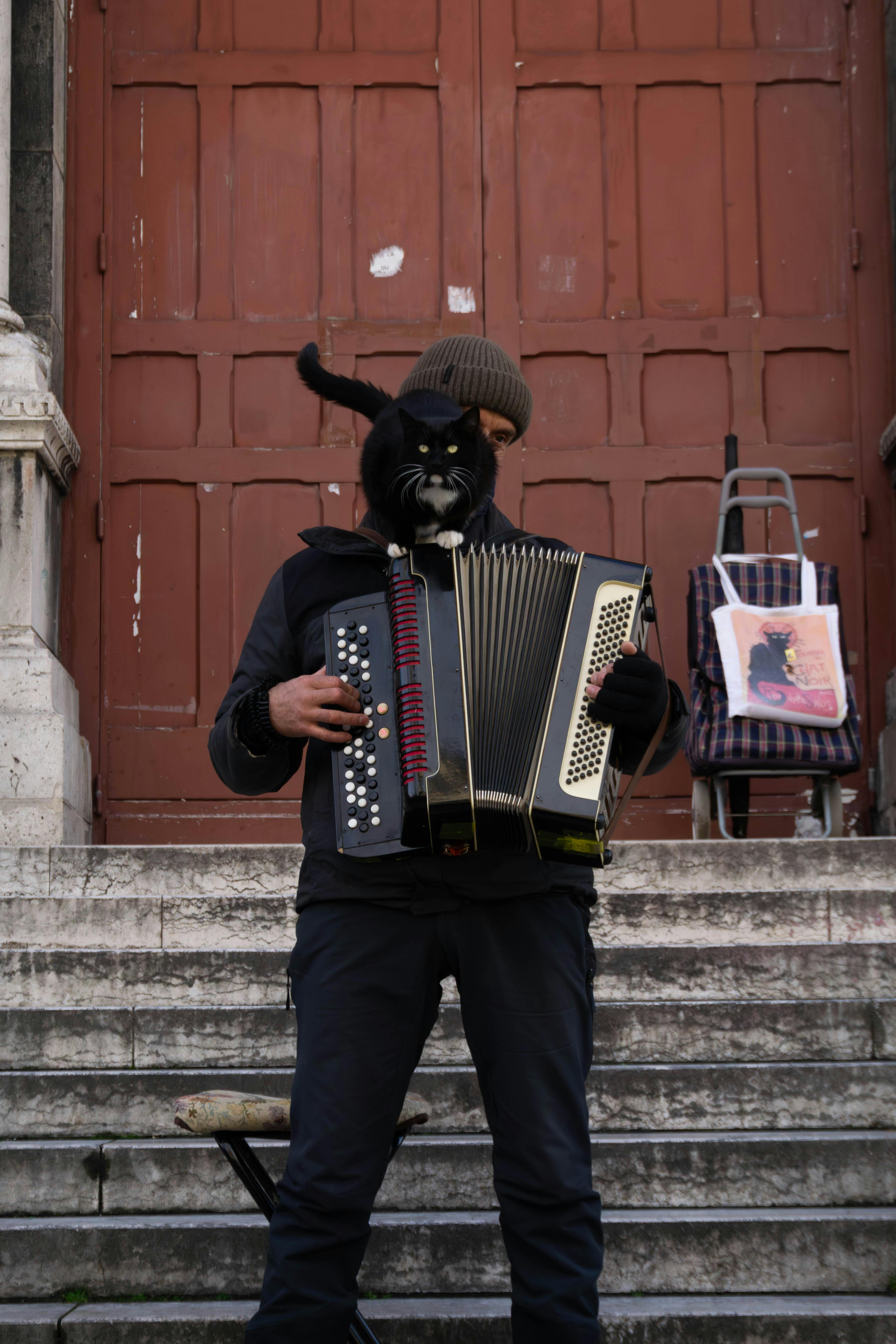 Pfp Mask Photos, Download The BEST Free Pfp Mask Stock Photos & HD Images