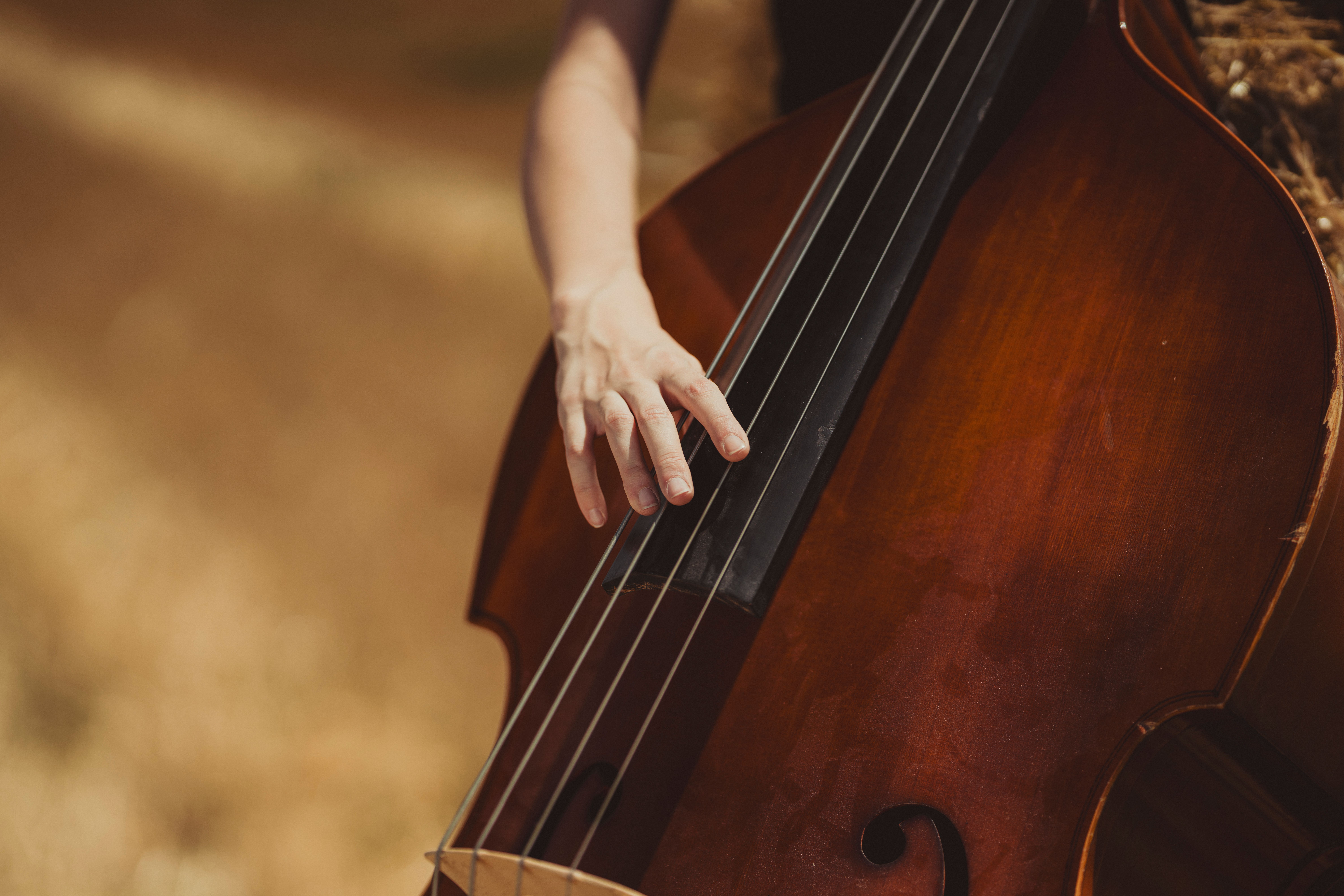 Close-up of Musician Playing Double Bass Outdoors · Free Stock Photo