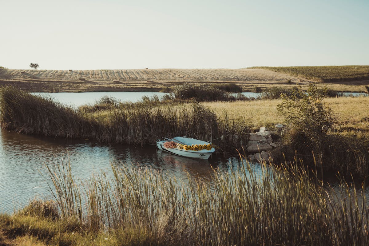 2,000,000+张最精彩的“保存12345+abc的吧一天吧一天”图片 · 100%免费下载 · Pexels素材图片