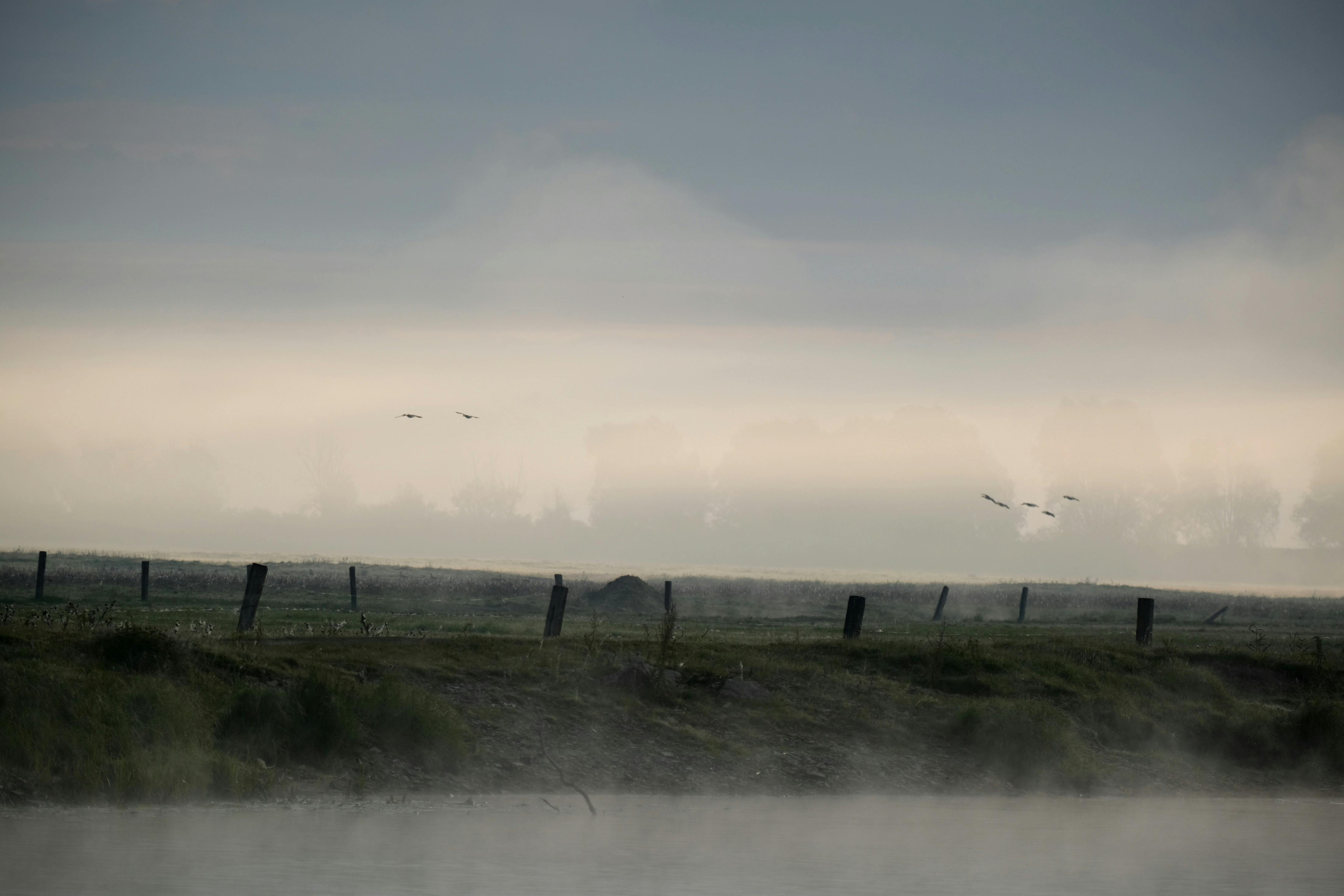 3.000+ melhores imagens de 1280 X 1280 · Download 100% grátis · Fotos ...