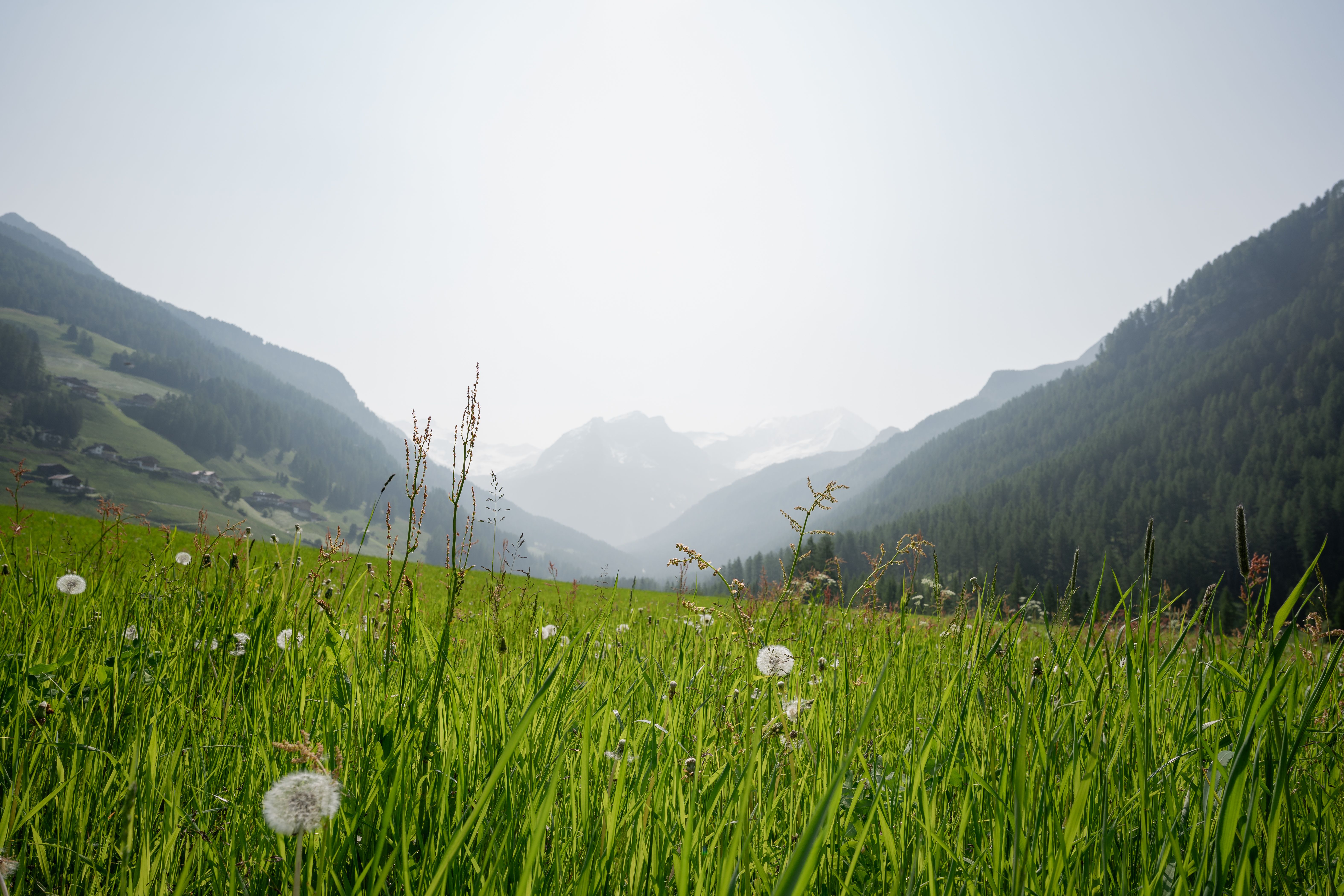 Wide+Sunda Photos, Download The BEST Free Wide+Sunda Stock Photos & HD ...