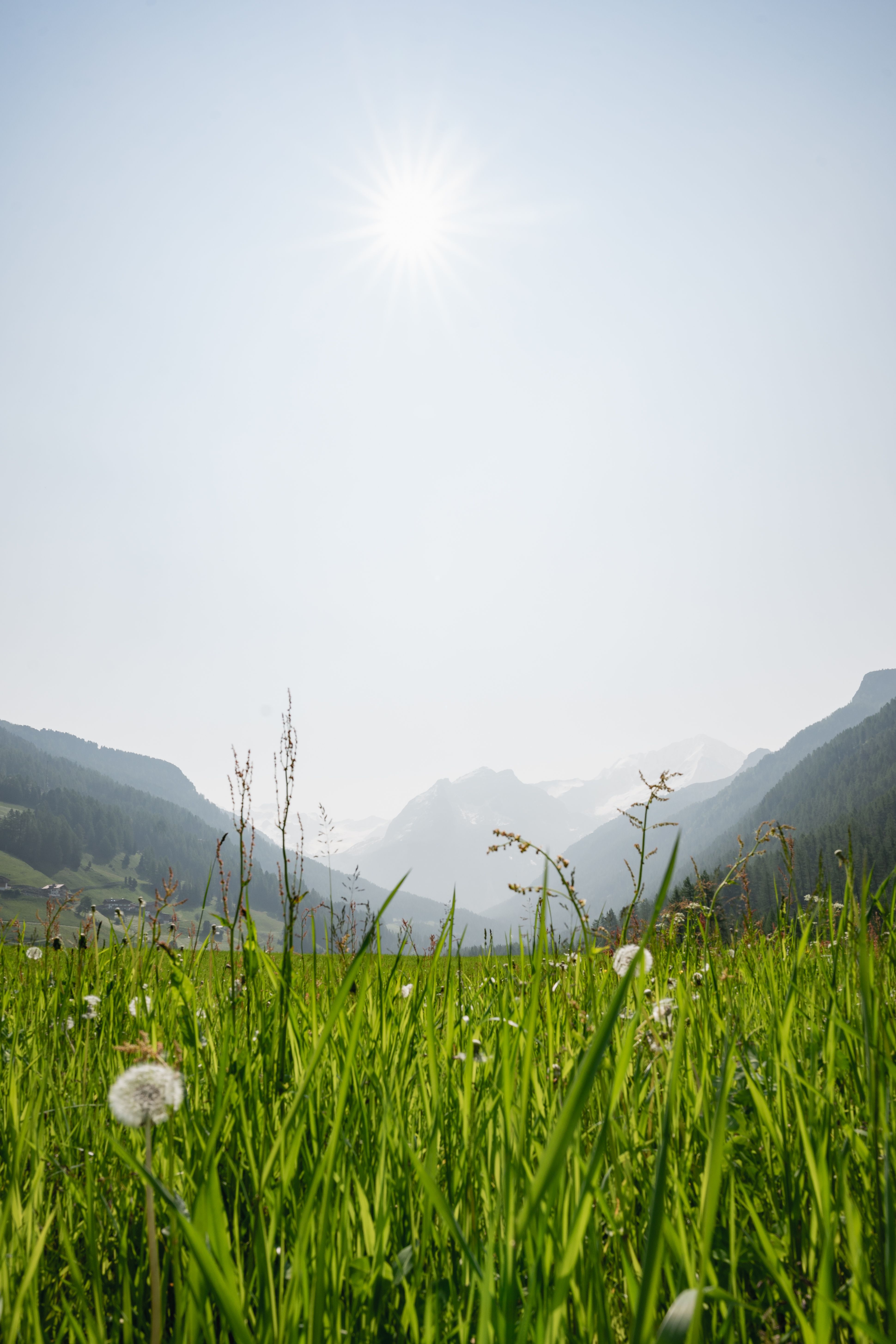 5 000+ beste Sommerbilder · 100 % gratis nedlasting · Pexels-arkivbilder