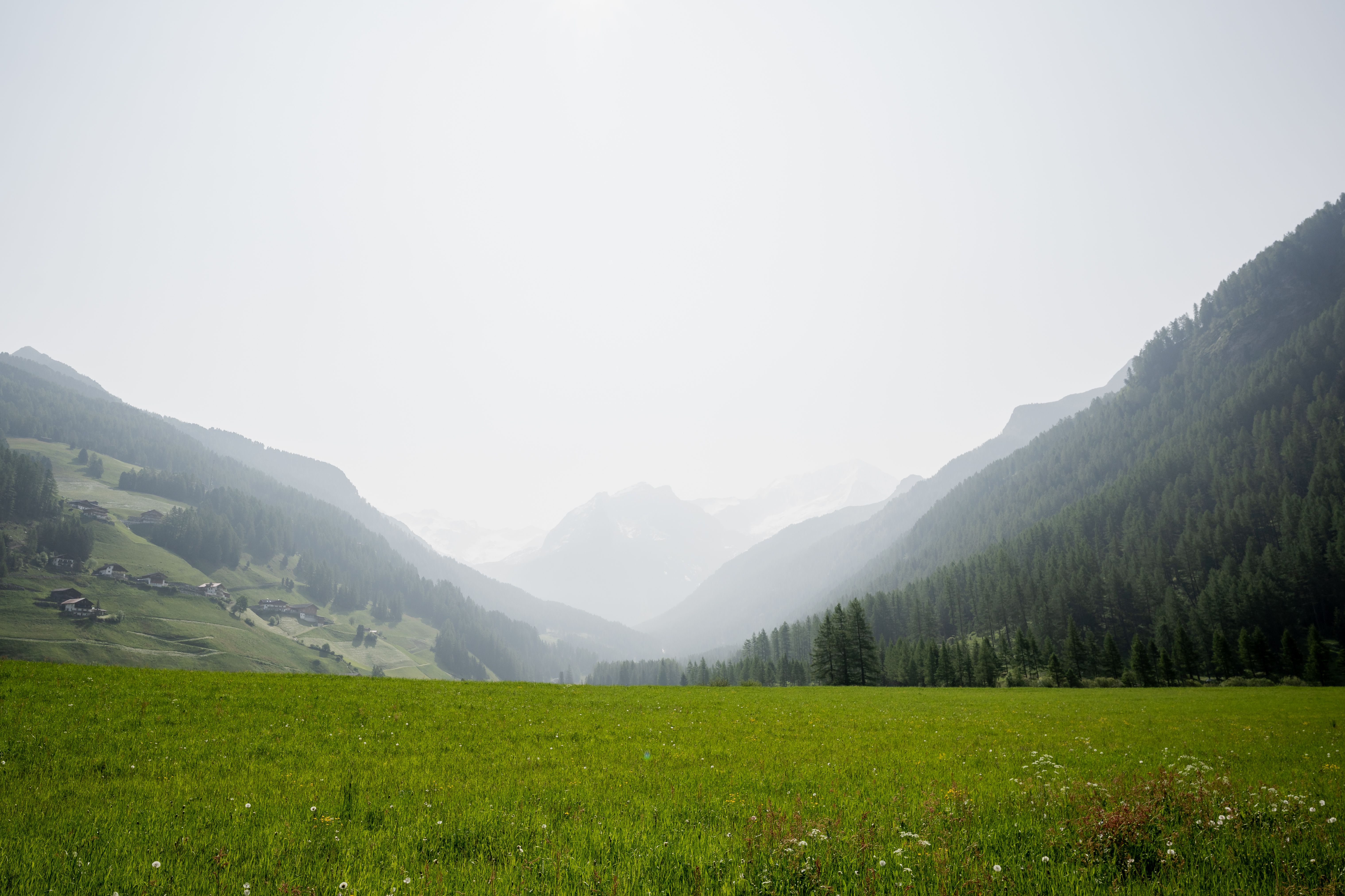 Scenic Alpine Valley with Green Meadows and Mountains · Free Stock Photo
