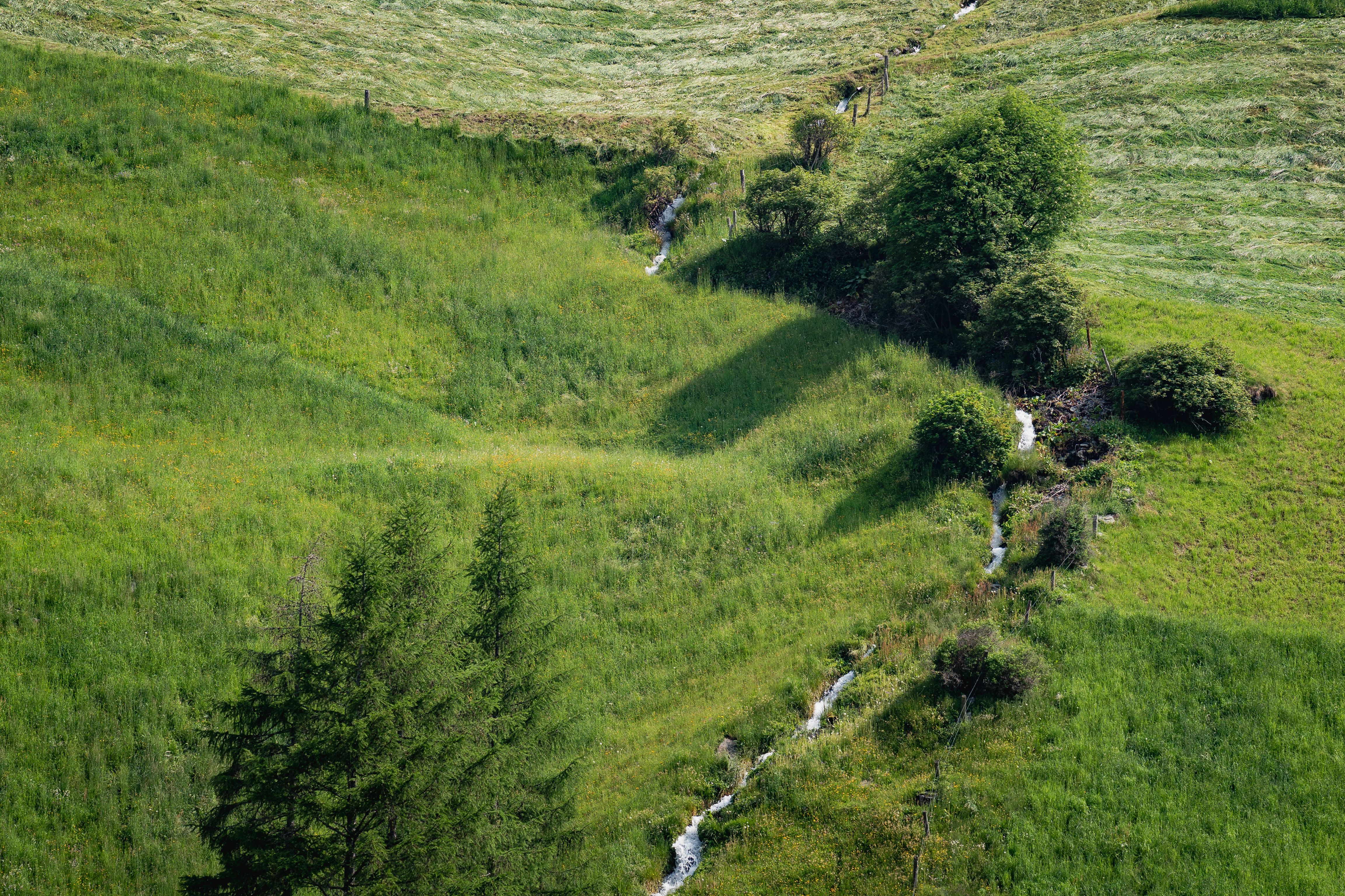 Vue Aérienne Du Paysage Serein De La Vallée Verdoyante · Photo gratuite