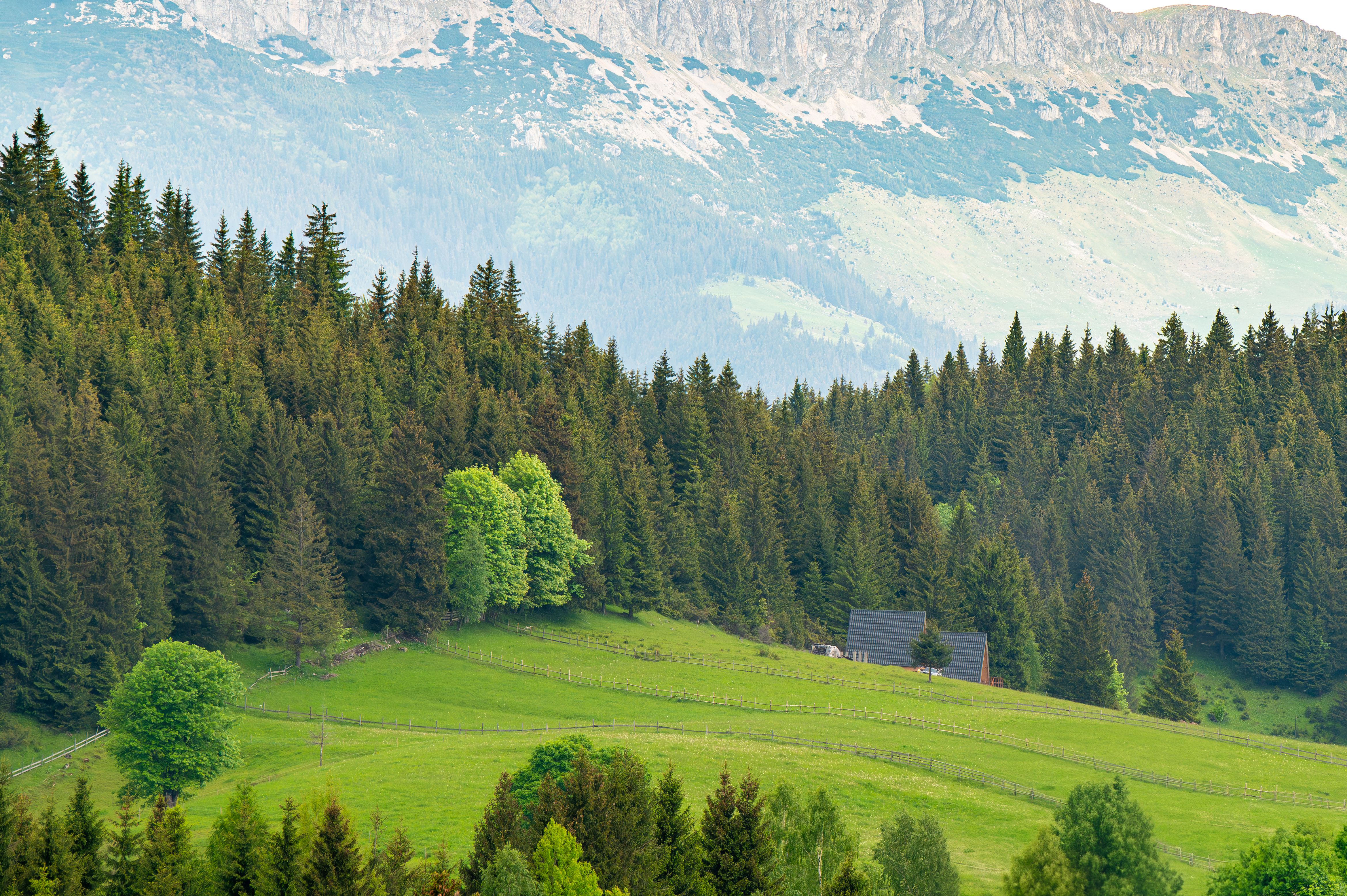 Ruhige Ländliche Hütte Auf Grüner Almwiese · Kostenloses Stock-Foto