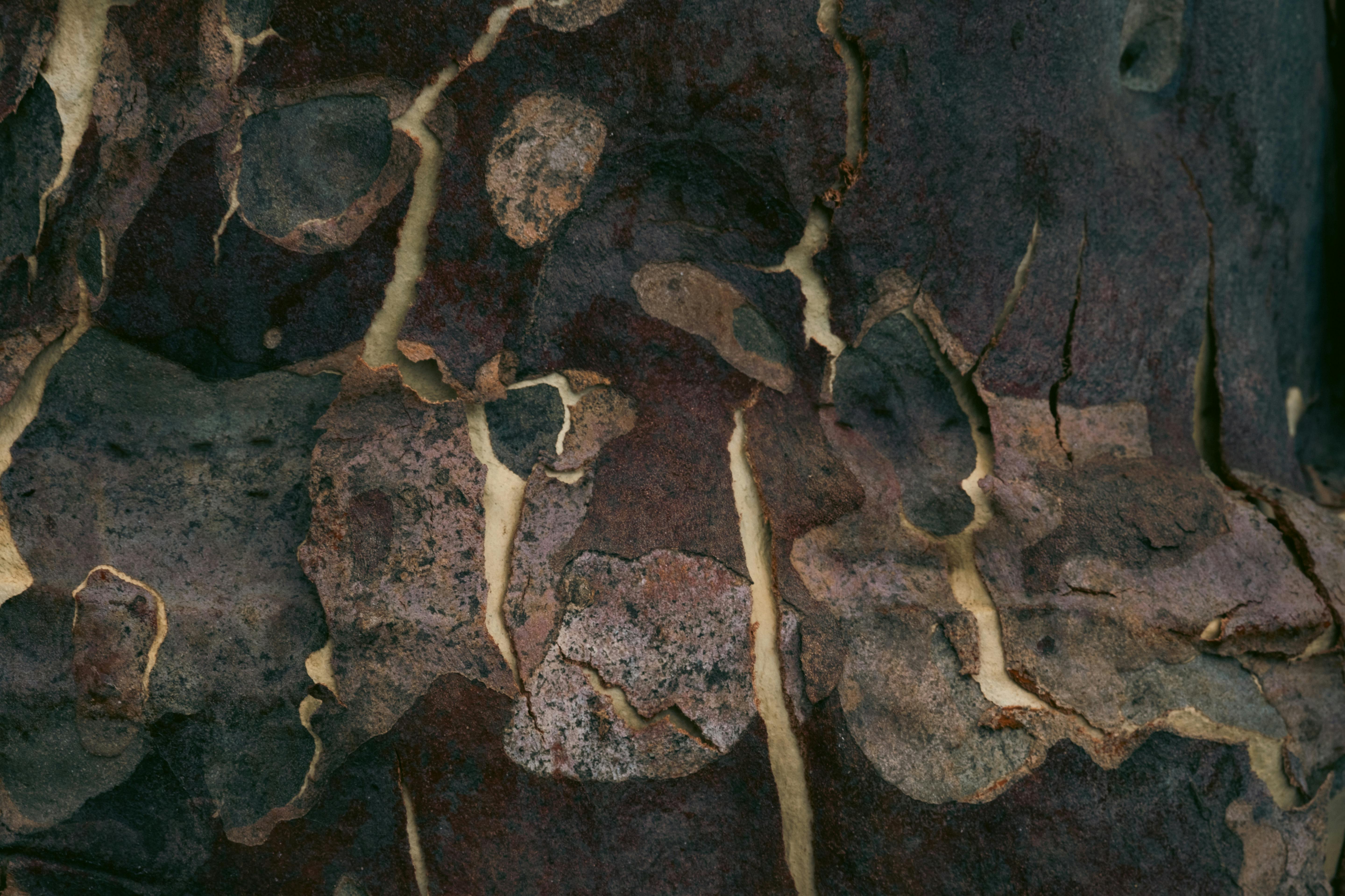 Biodata Background Photos, Download The BEST Free Biodata Background ...