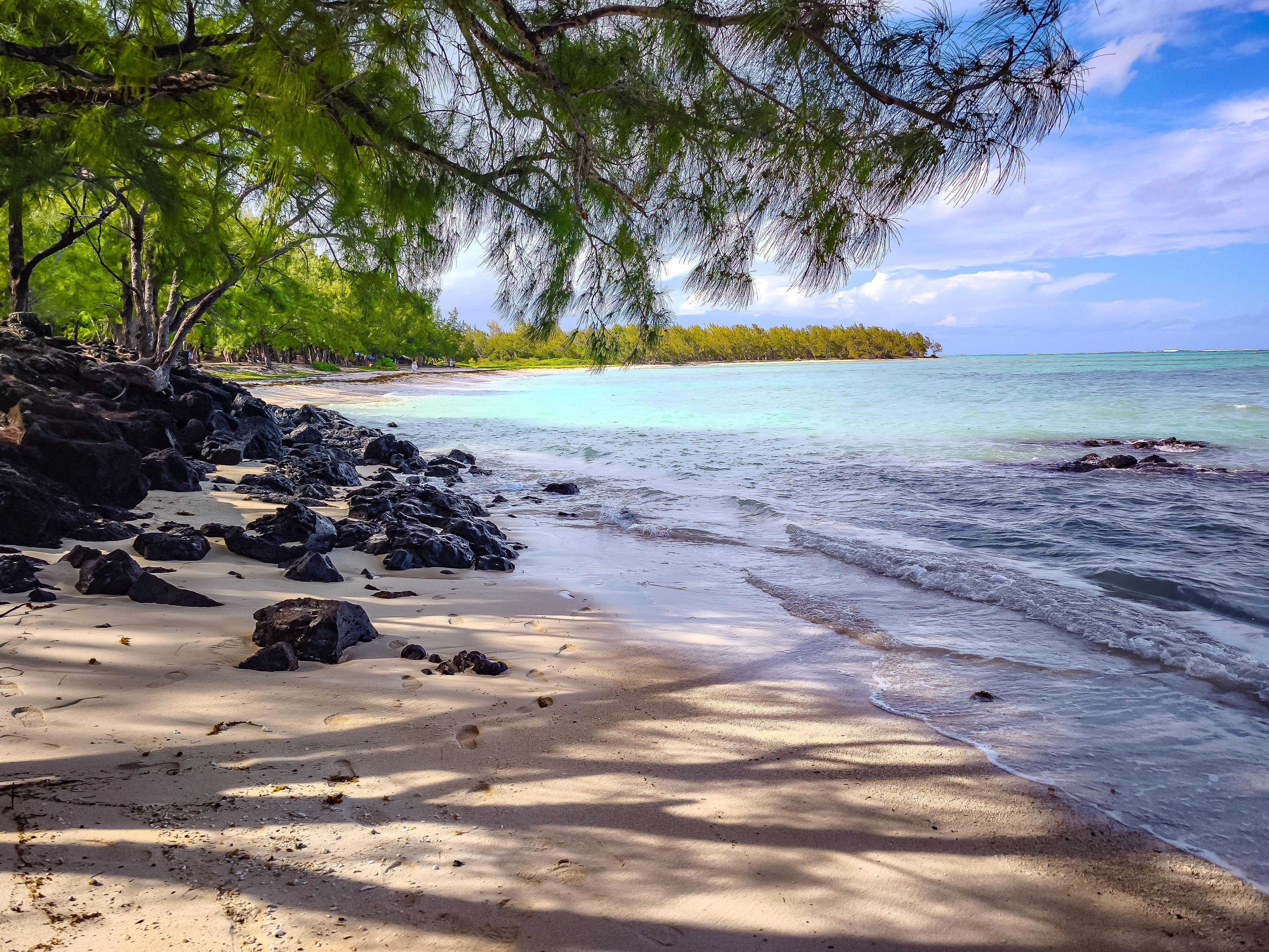 Tropical Beach with Lush Greenery in Mauritius · Free Stock Photo