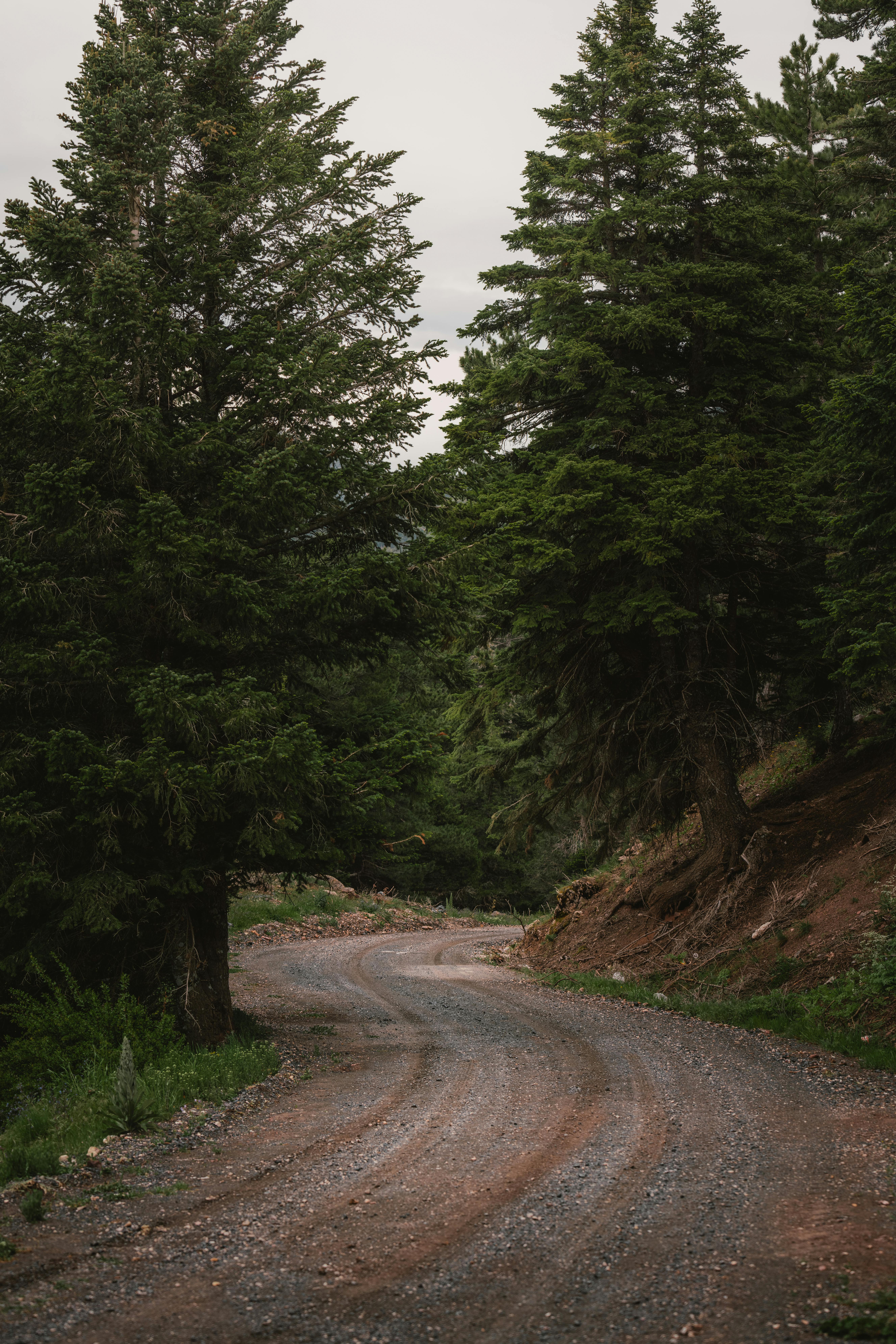 Environment Pictures Photos, Download The BEST Free Environment ...