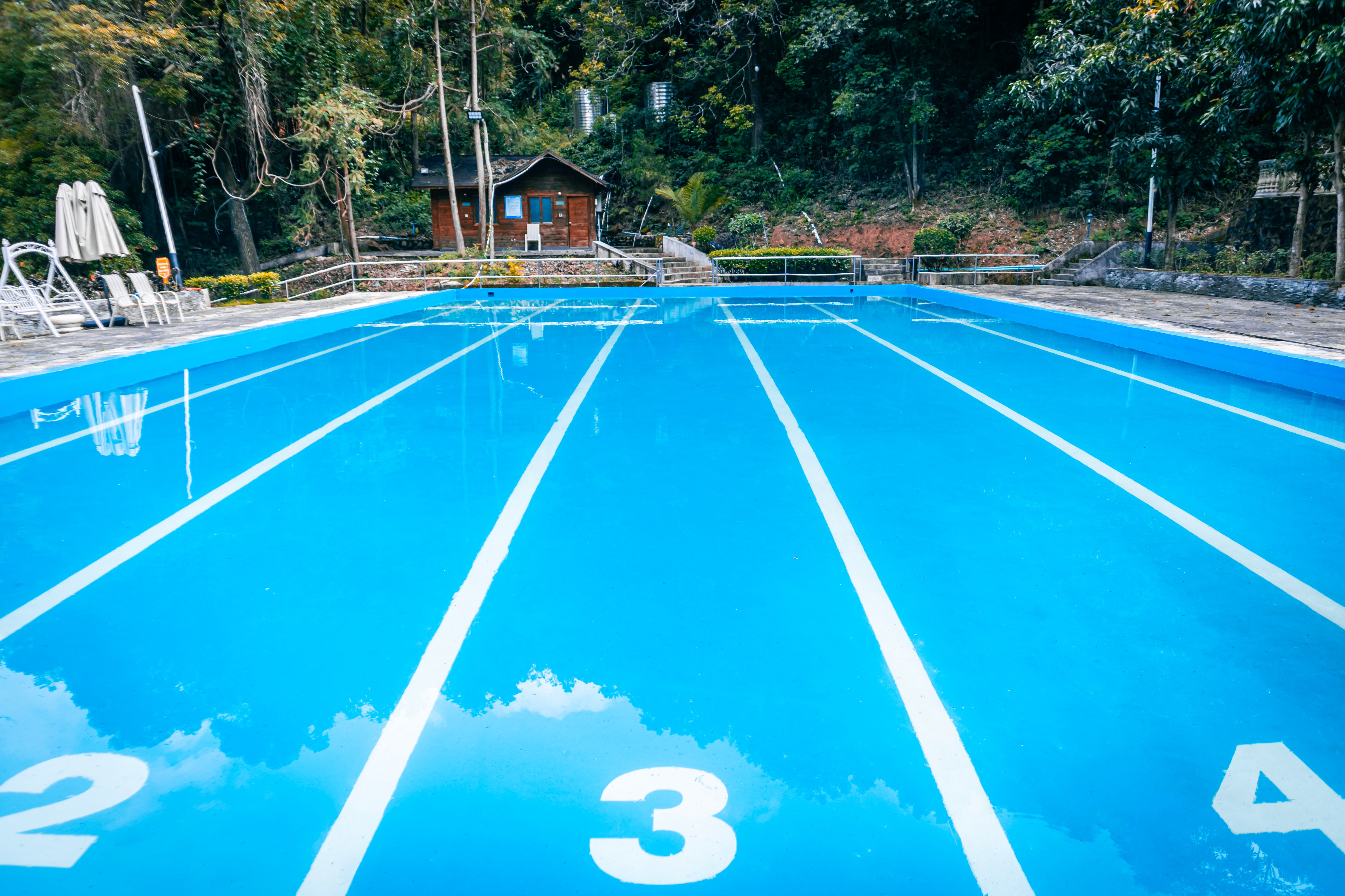 Swimming Pool In Forest Photos, Download The BEST Free Swimming Pool In ...