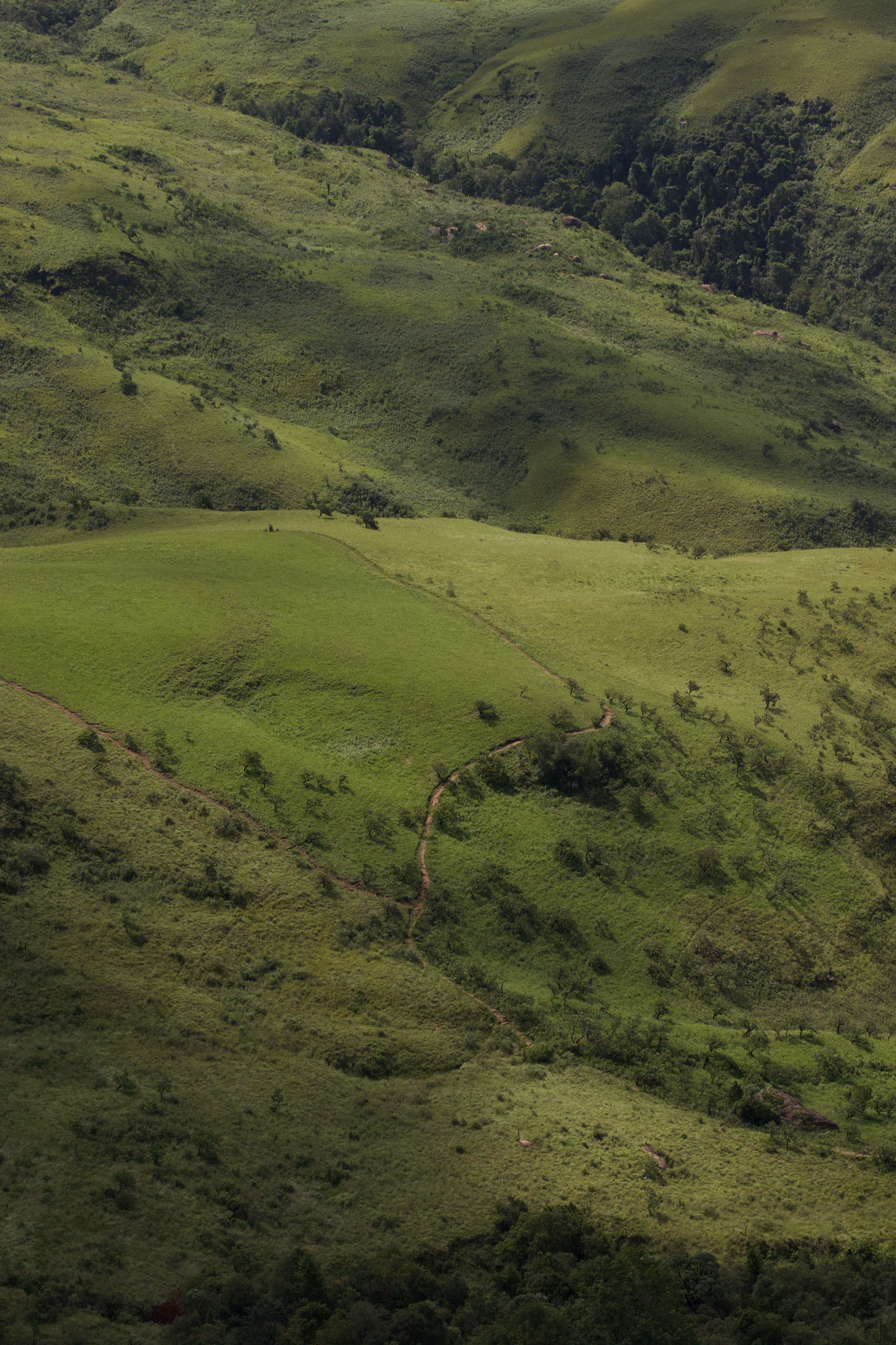 Lush Green Hills and Valleys Under Sunlight · Free Stock Photo