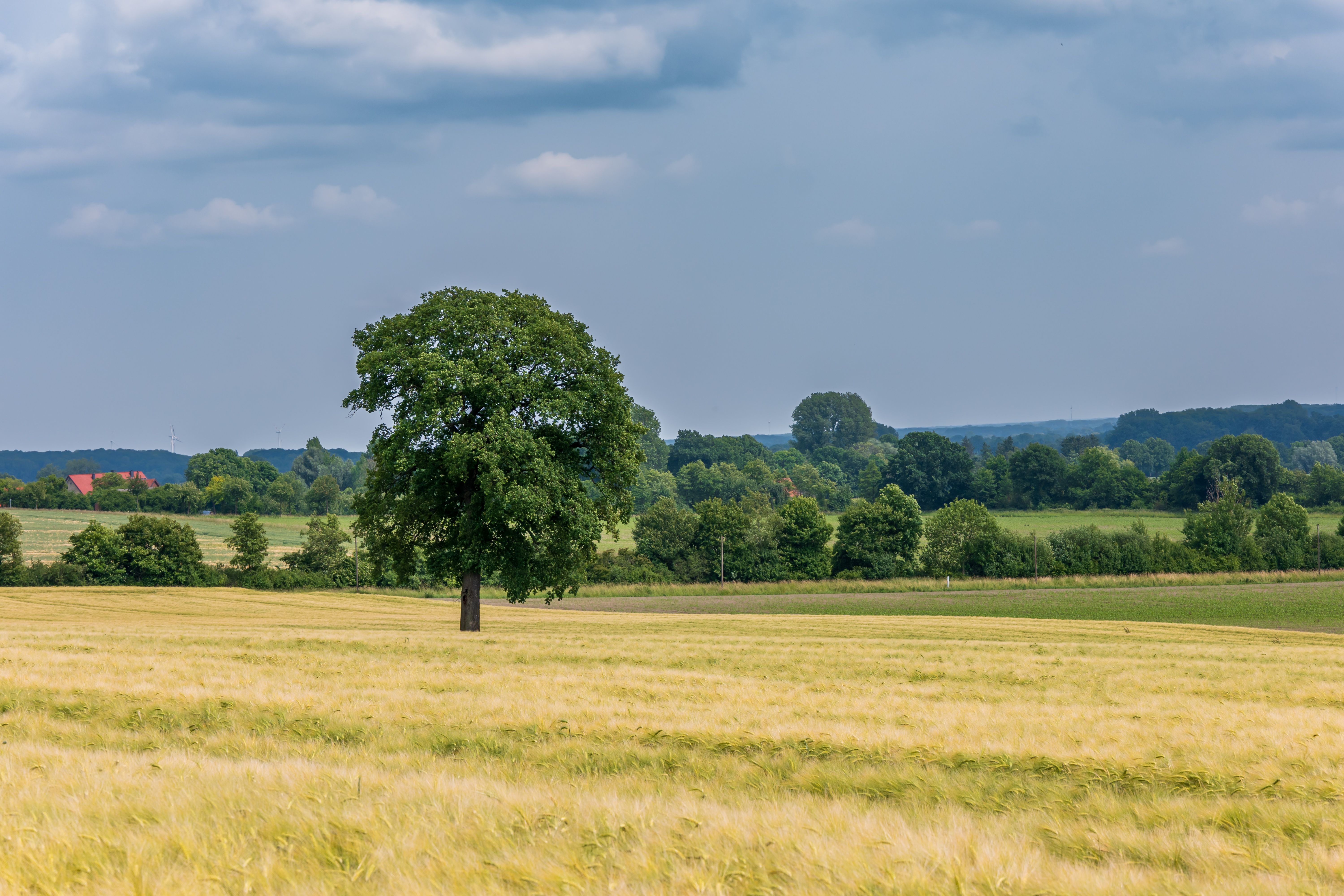 Sky Preview Photos, Download The BEST Free Sky Preview Stock Photos ...