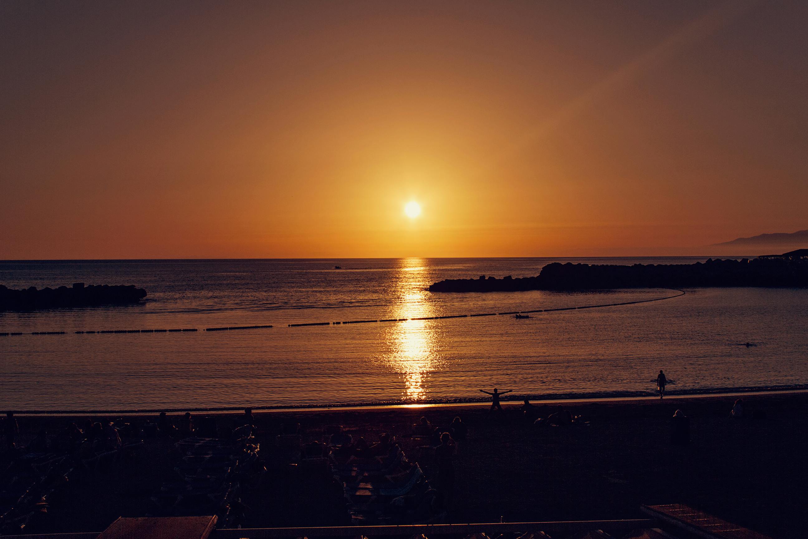 Sea Shore View on Sunset · Free Stock Photo