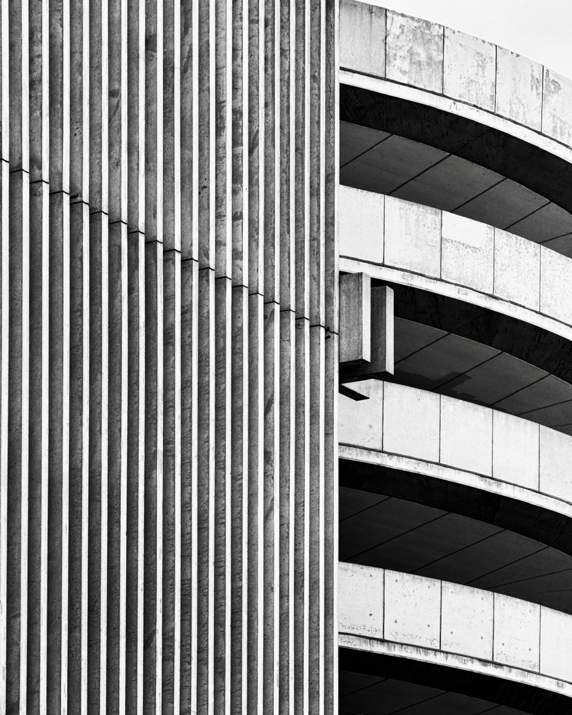 Mono Embarazada Photos, Download The BEST Free Mono Embarazada Stock ...
