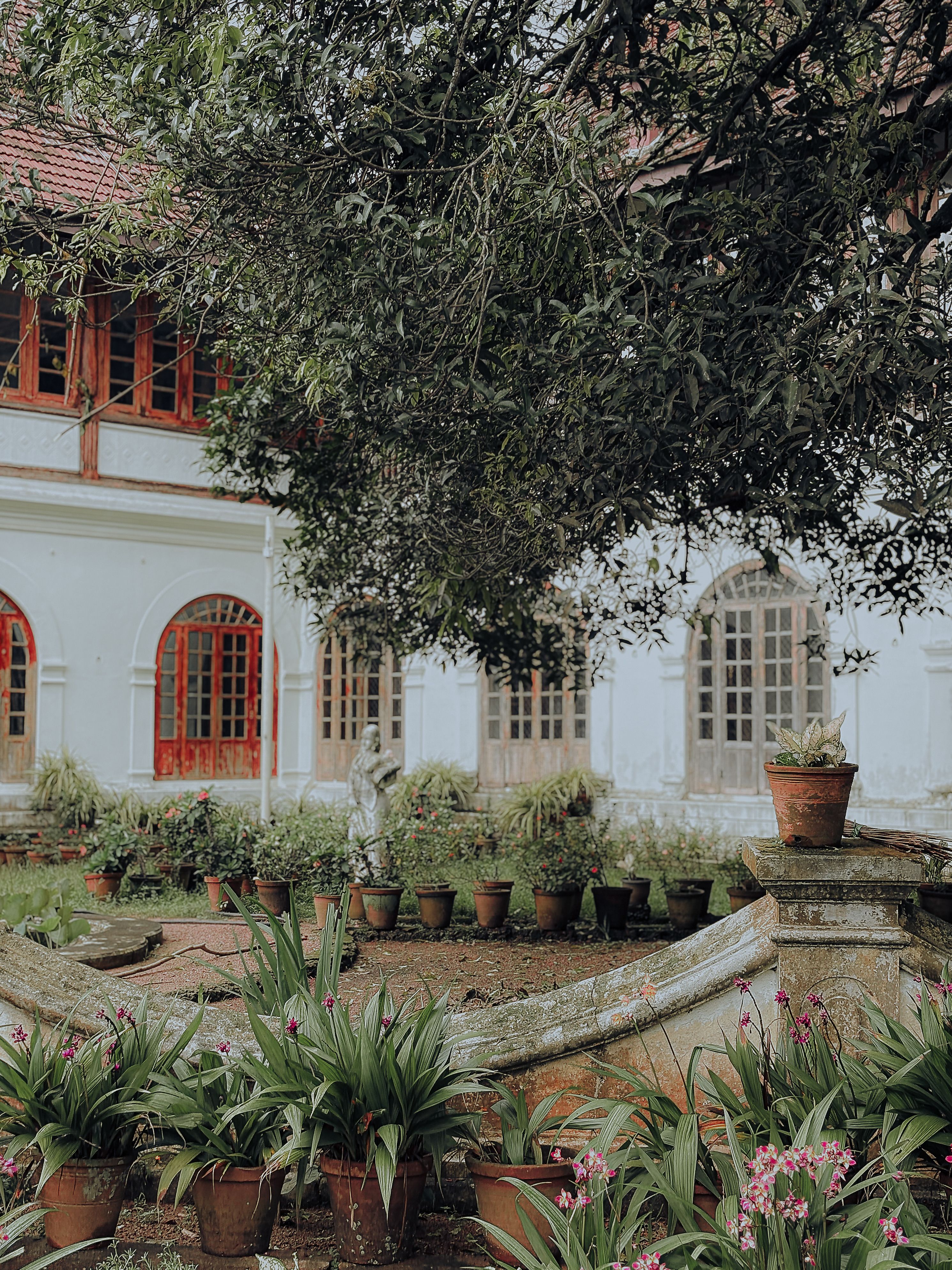 Historic Courtyard Garden in Ernakulam, India · Free Stock Photo