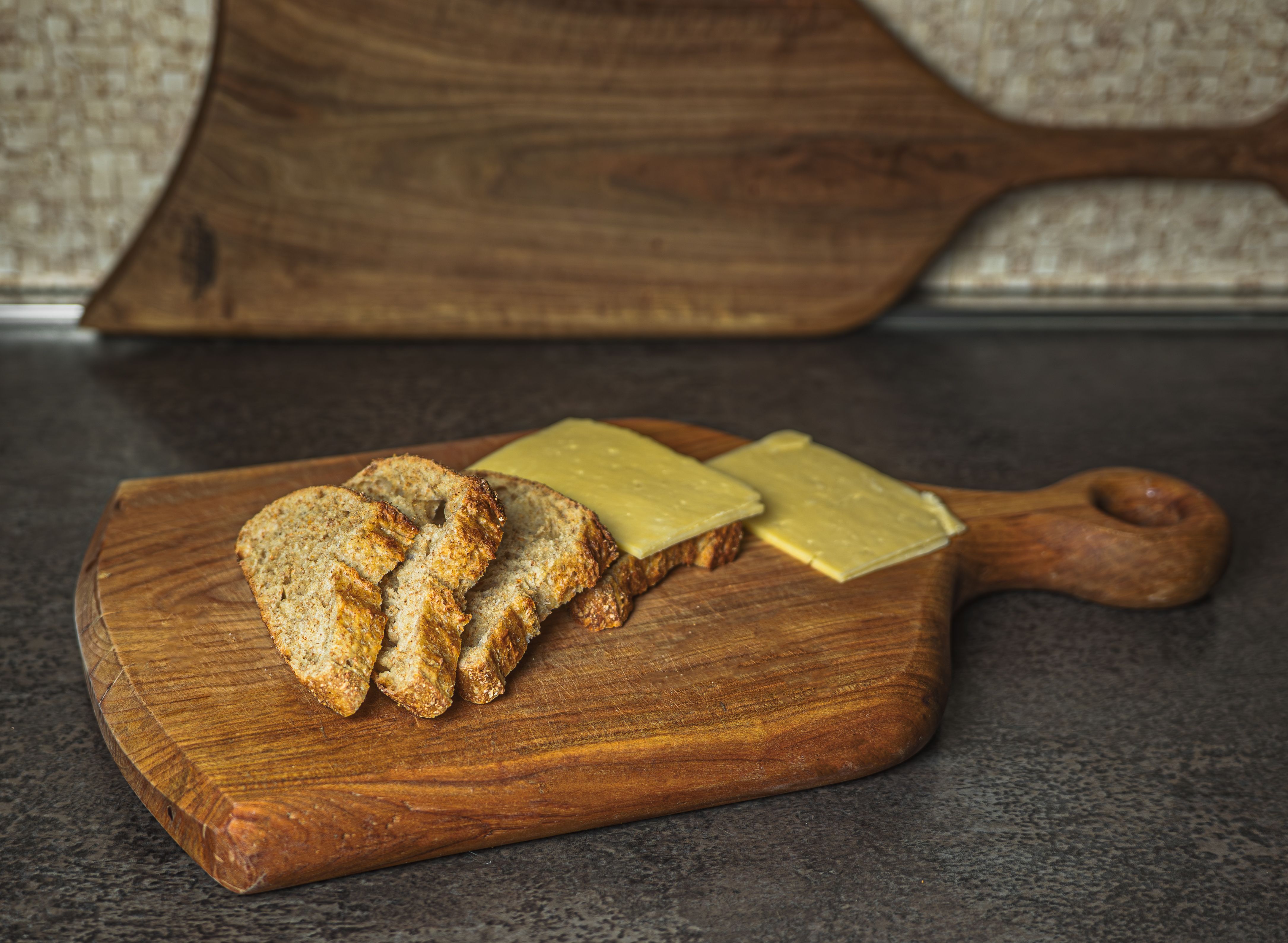 Casu Martzu Cheese With Maggots Photos, Download The BEST Free Casu ...