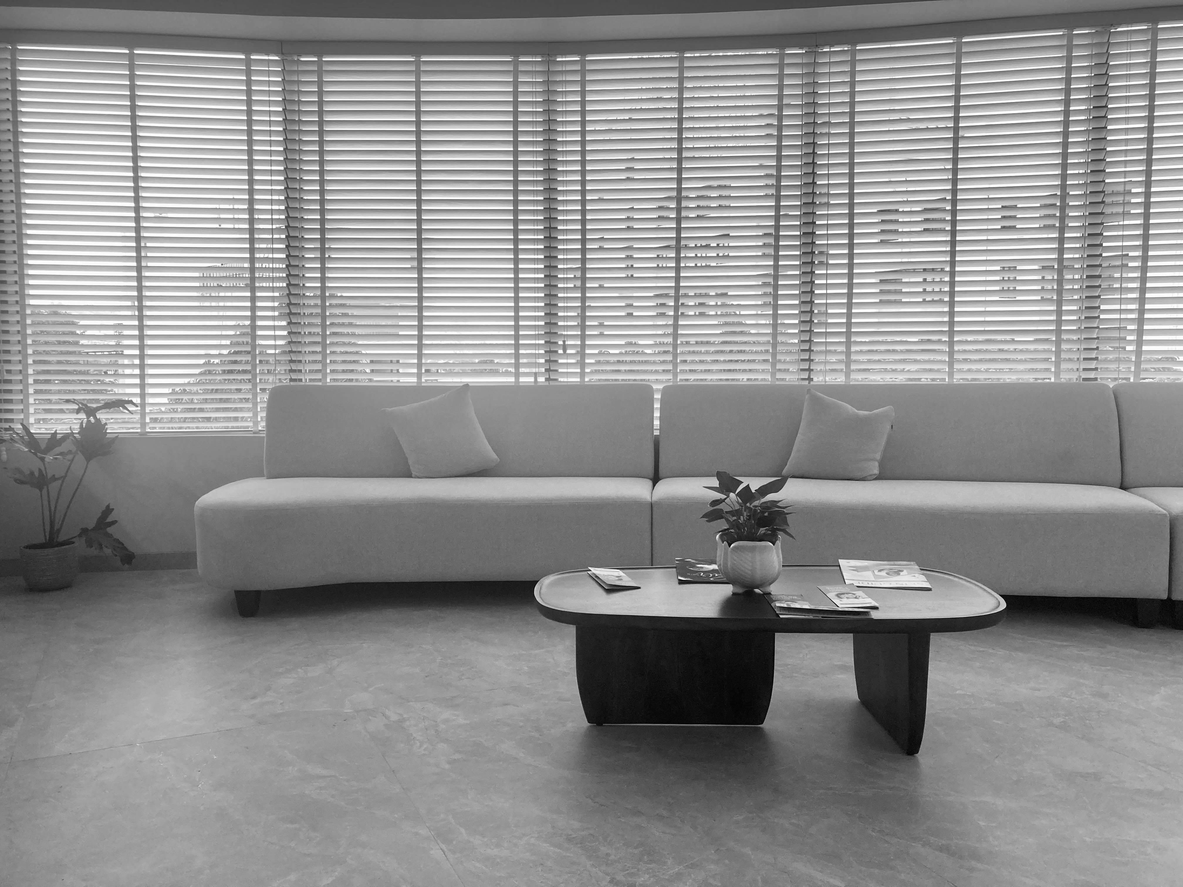 Blindnesses Photos, Download The BEST Free Blindnesses Stock Photos ...