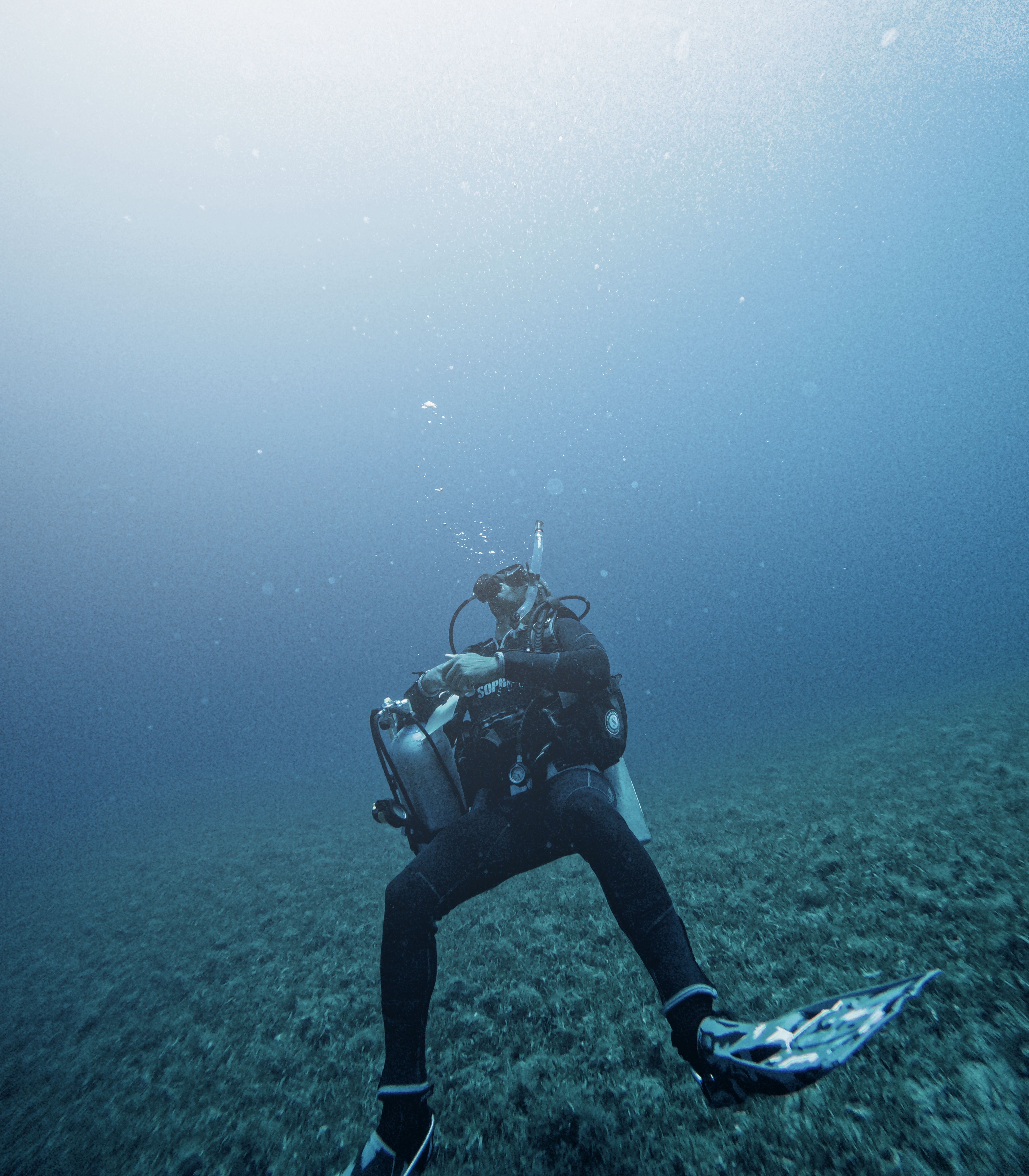OK Signal Made Underwater by Scuba Diver · Free Stock Photo