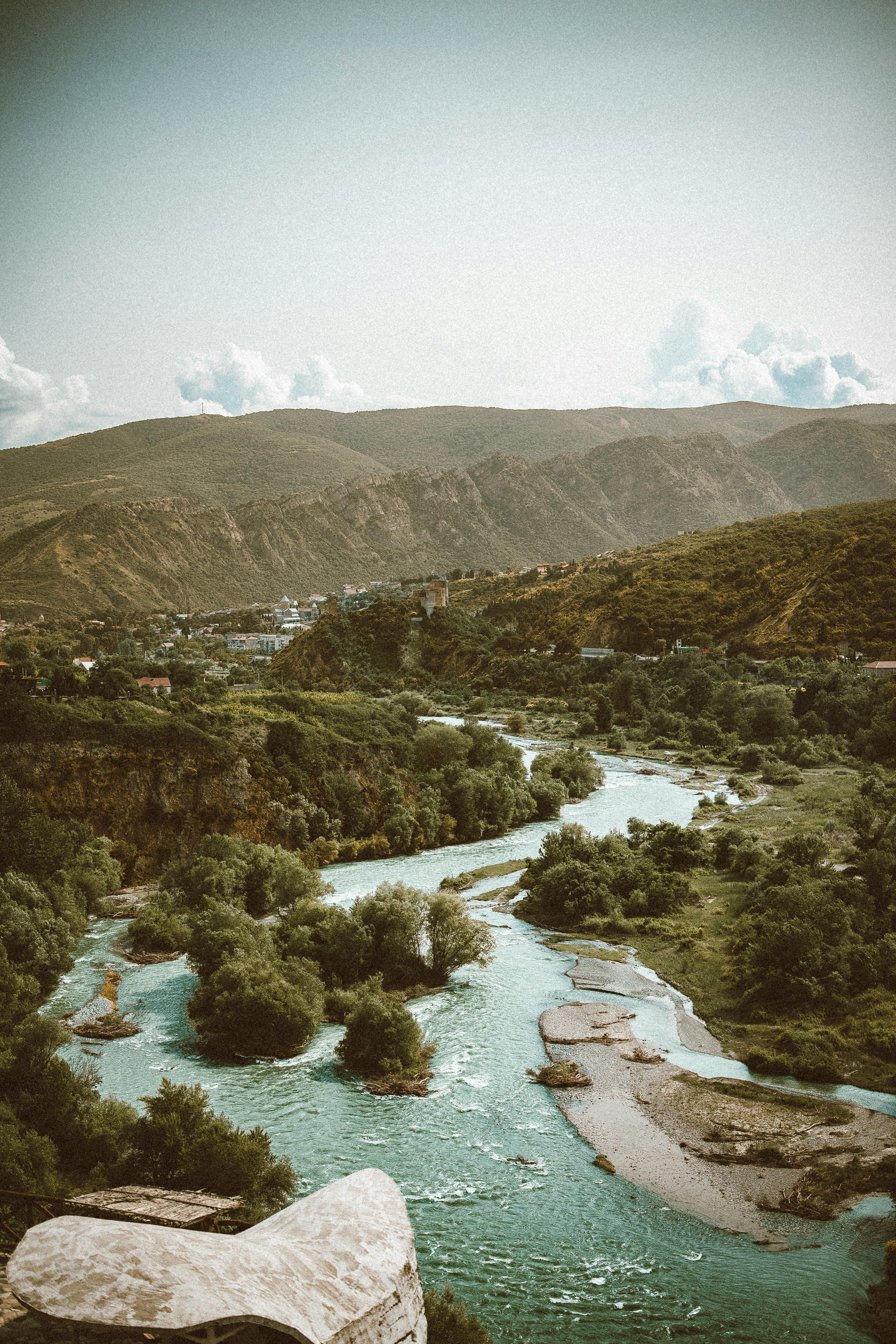 Dog Wallpaper Deskop Photos, Download The BEST Free Dog Wallpaper ...